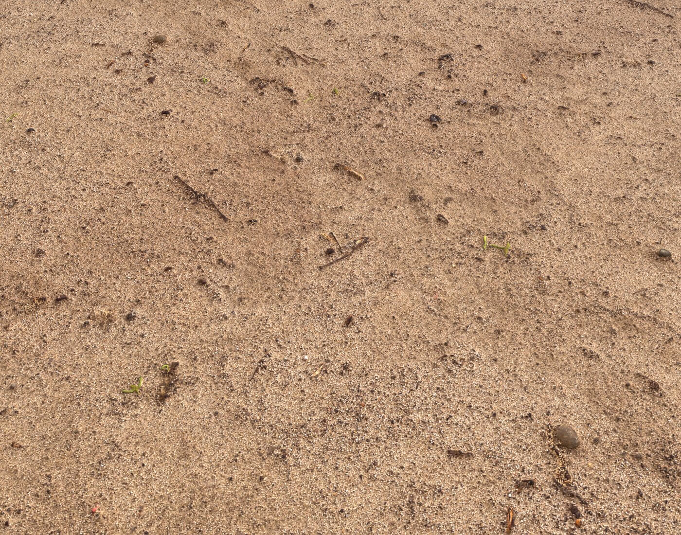 Sand Terrain PBR Pack 6 - 3D Texture by 32cm