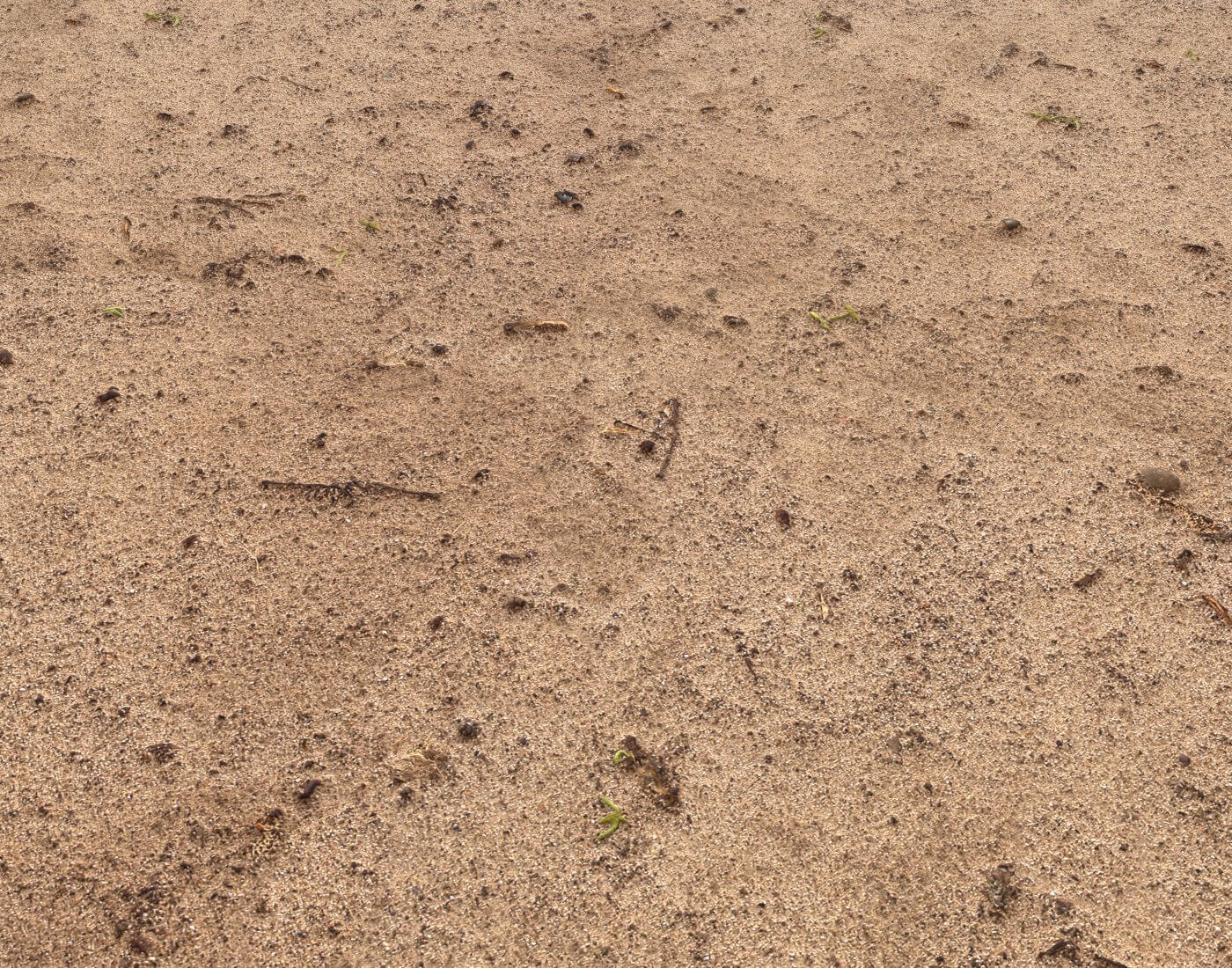 Sand Terrain PBR Pack 6 - 3D Texture by 32cm