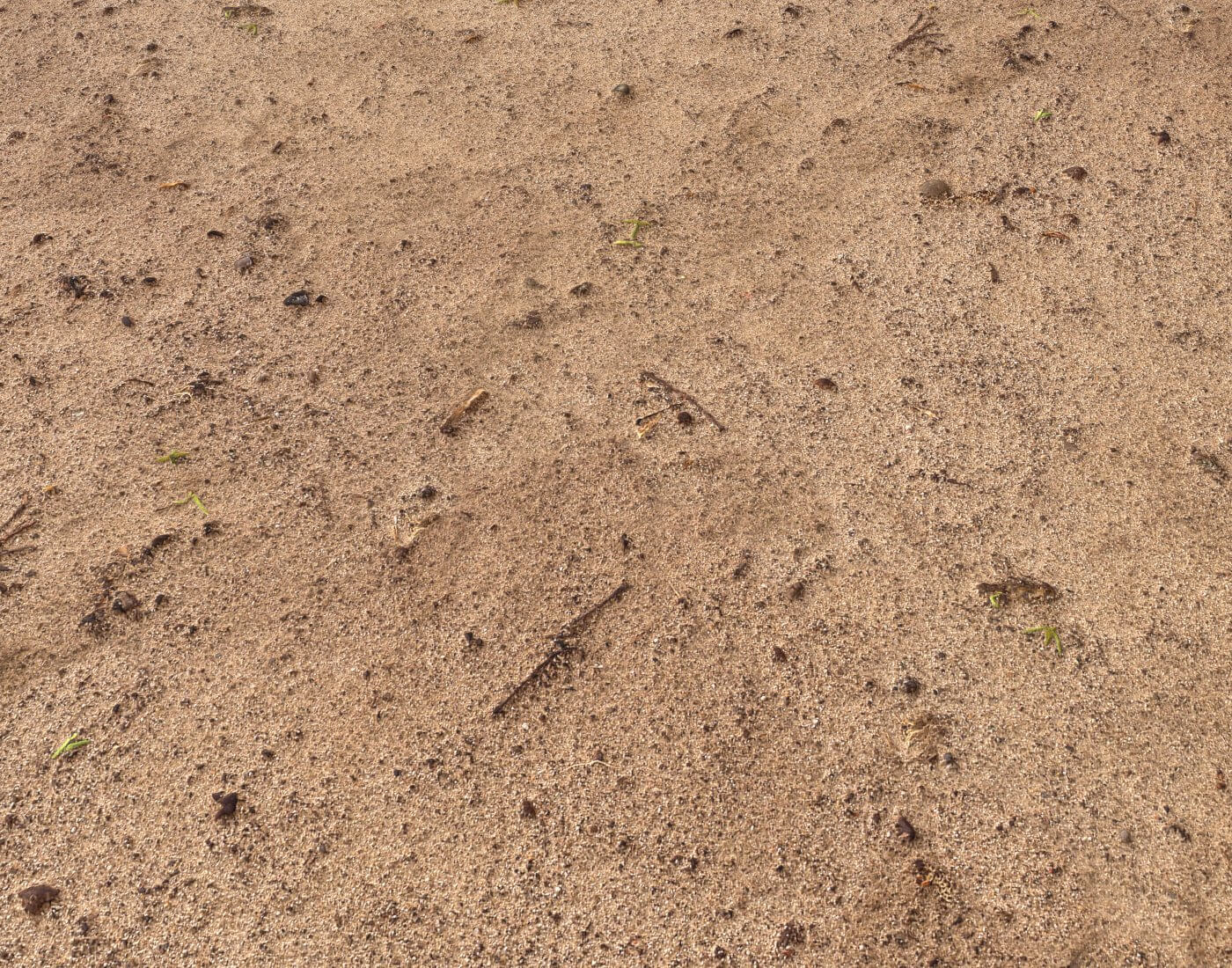 Sand Terrain PBR Pack 6 - 3D Texture by 32cm