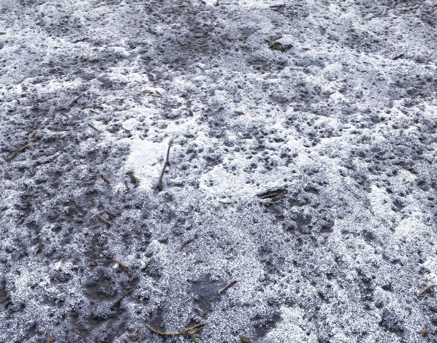 Snow Terrain PBR Pack 10 - 3D Texture by 32cm