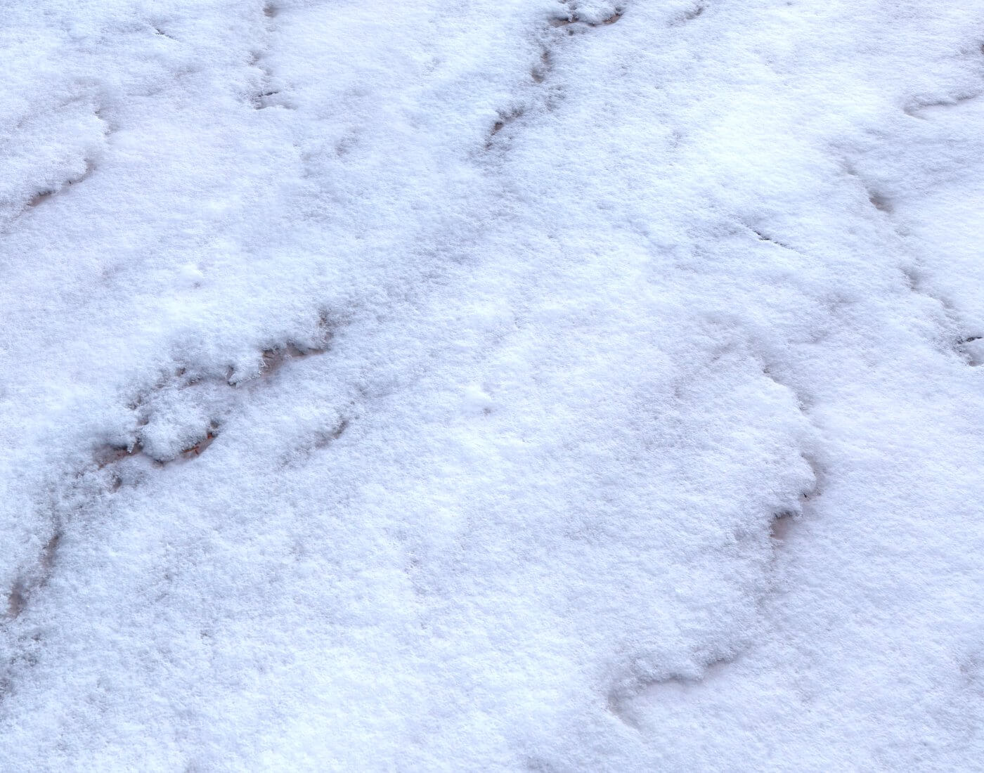 Snow Terrain PBR Pack 10 - 3D Texture by 32cm