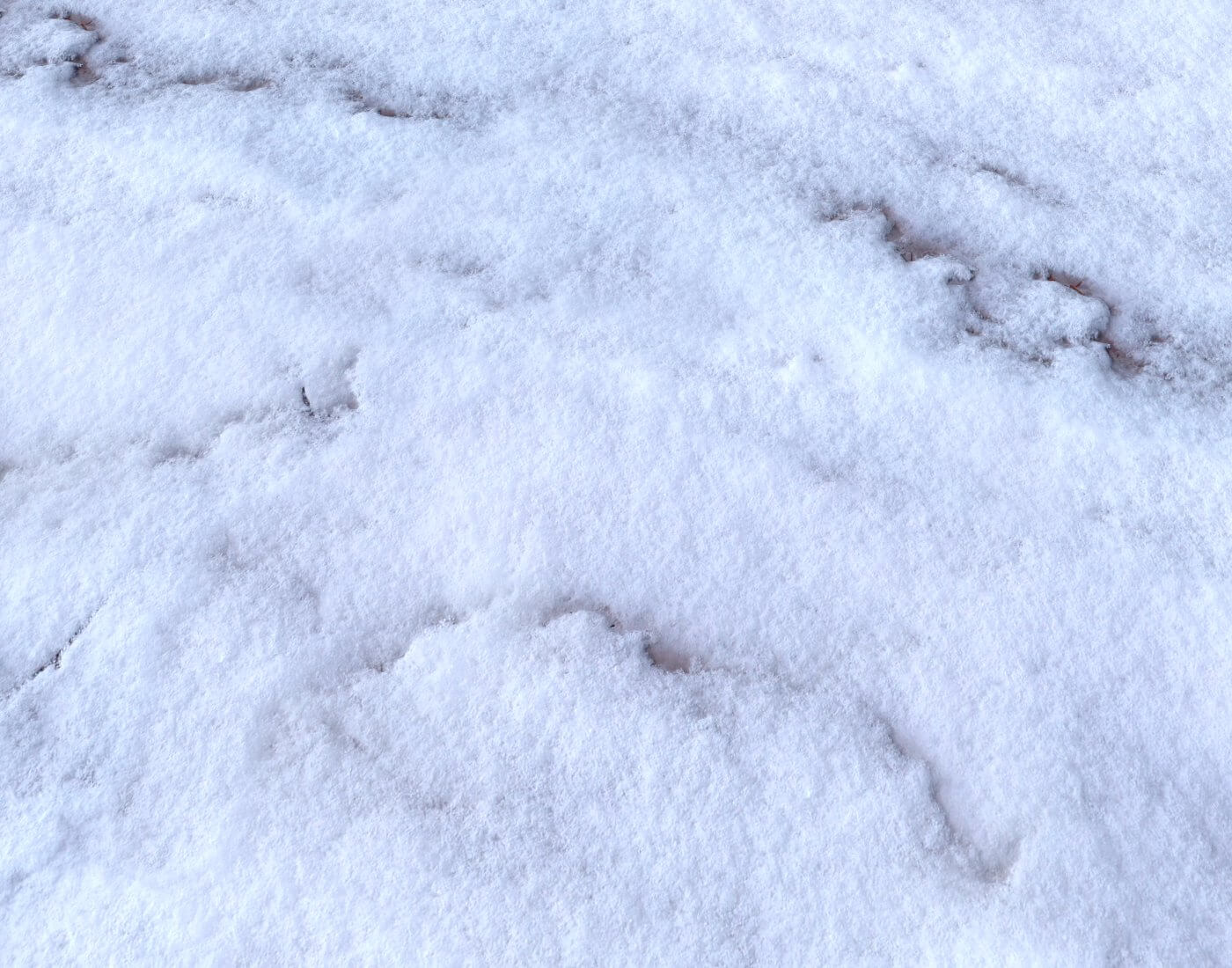 Snow Terrain PBR Pack 10 - 3D Texture by 32cm