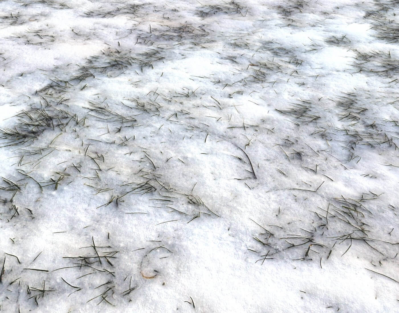 Snow Terrain PBR Pack 3 - 3D Texture by 32cm