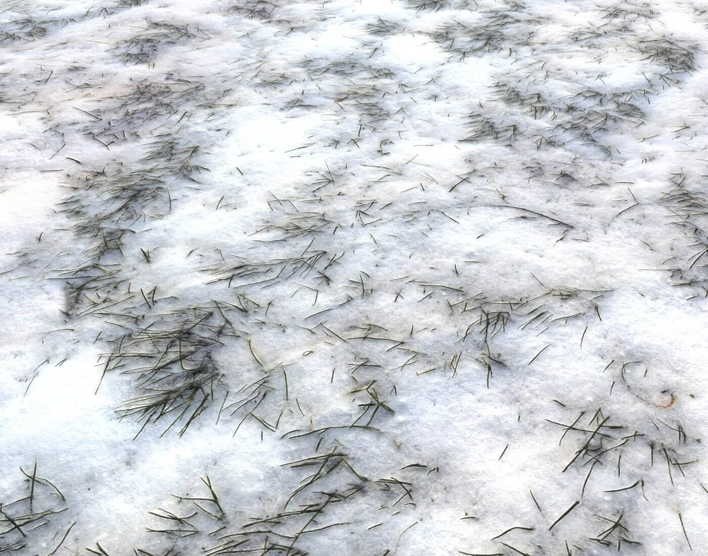 Snow Terrain PBR Pack 3 - 3D Texture by 32cm