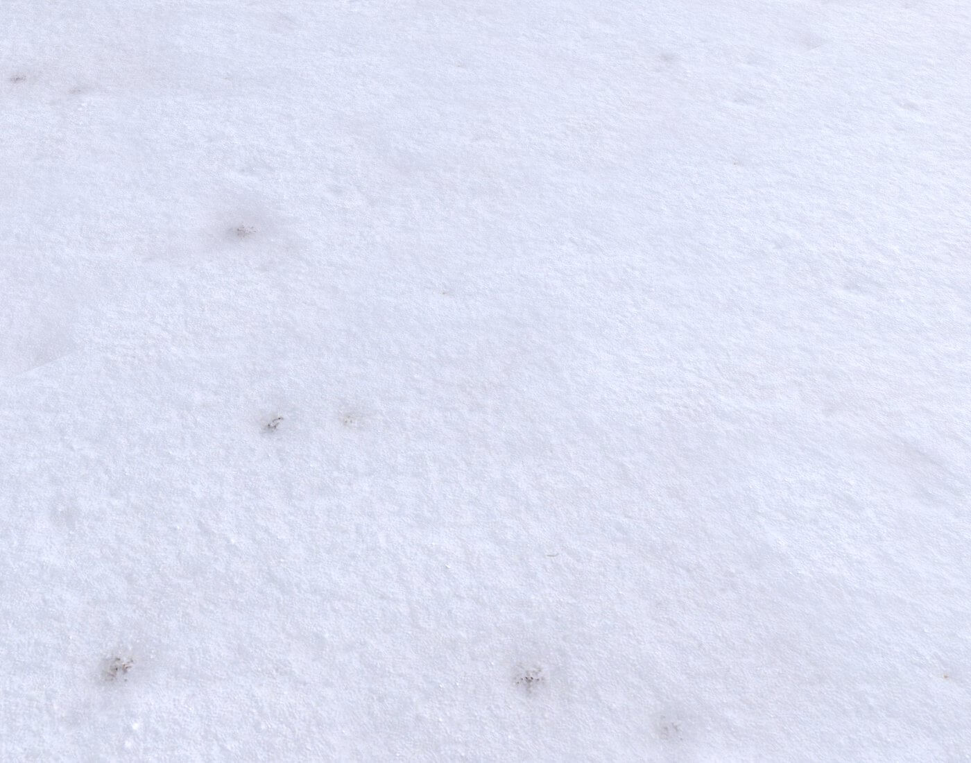 Snow Terrain PBR Pack 3 - 3D Texture by 32cm