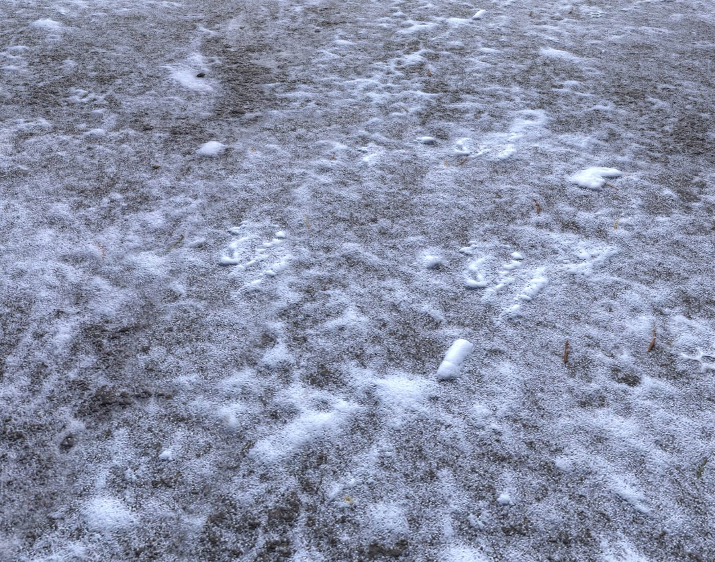 Snow Terrain PBR Pack 3 - 3D Texture by 32cm