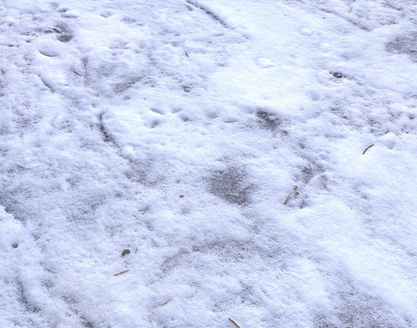 Snow Terrain PBR Pack 9 - 3D Texture by 32cm