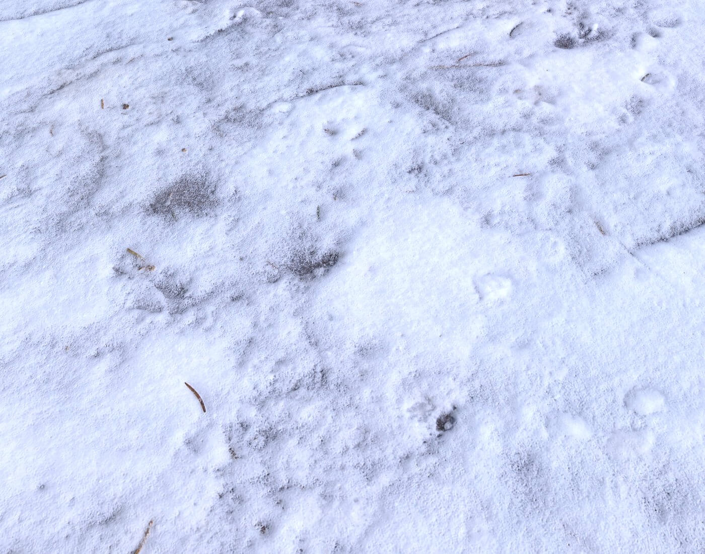 Snow Terrain PBR Pack 9 - 3D Texture by 32cm