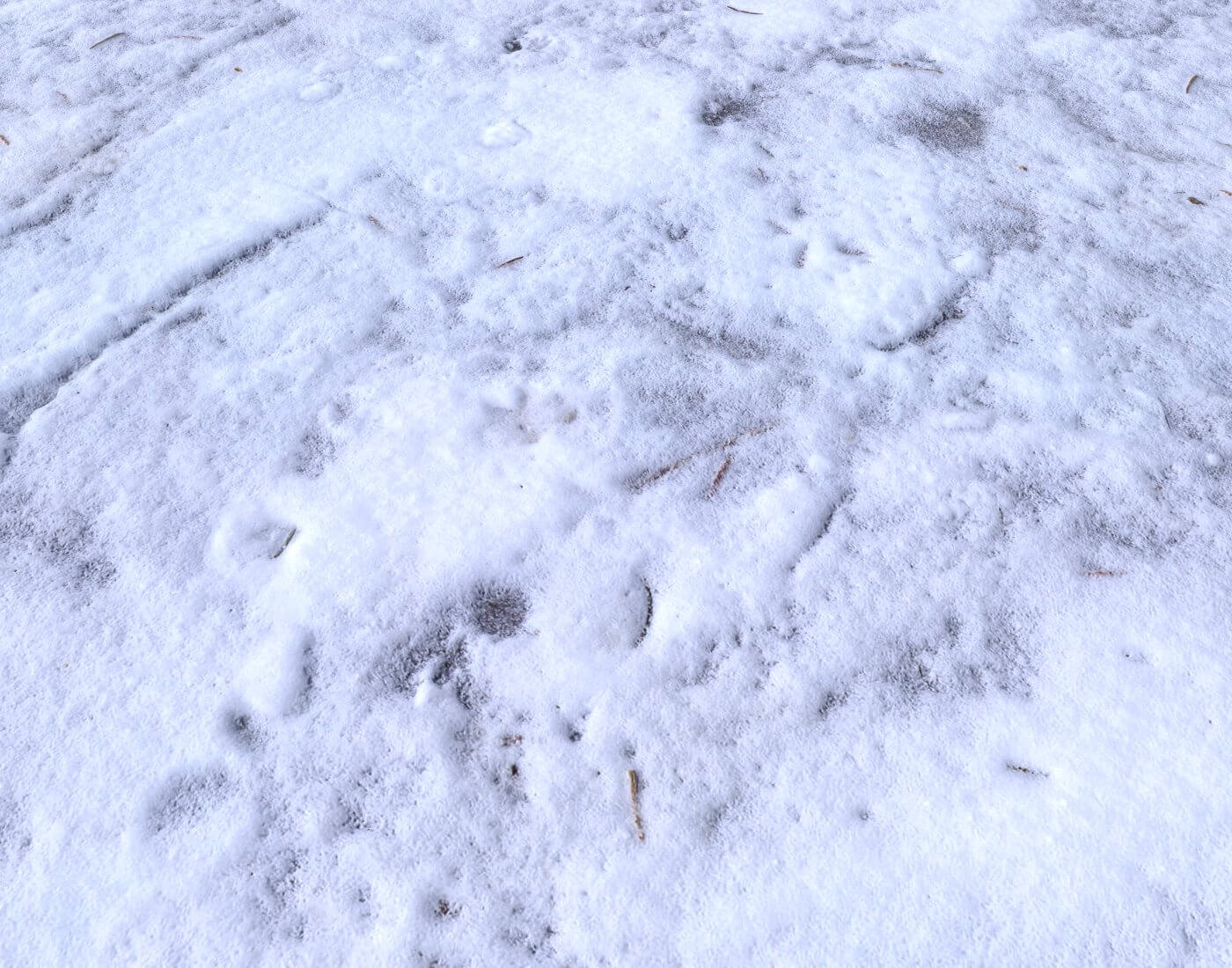 Snow Terrain PBR Pack 9 - 3D Texture by 32cm