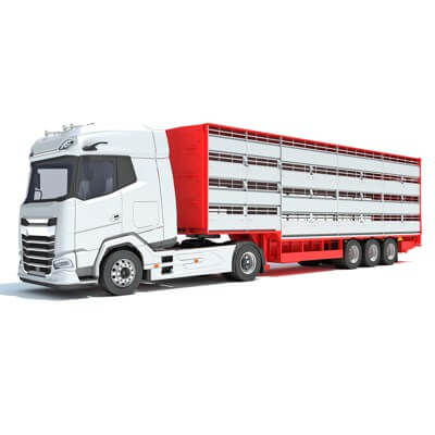 Animal Transporter Truck - 3D Model by 3D Horse