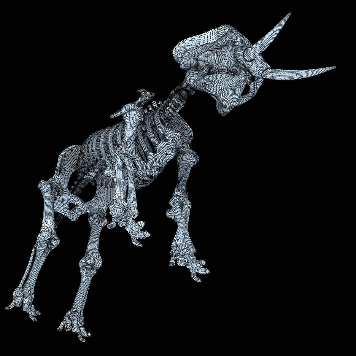 Asian Elephant Skeleton - 3D Model by 3D Horse