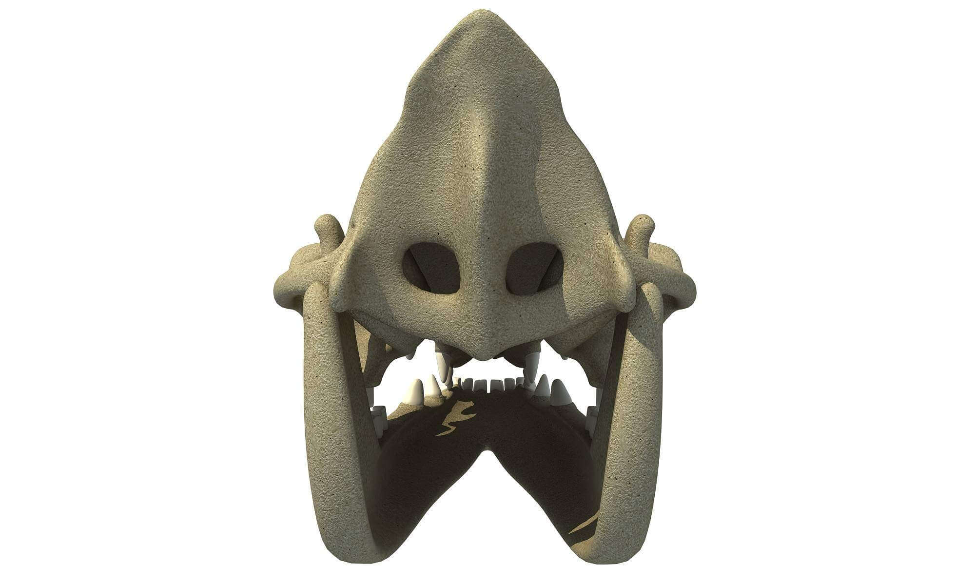 Camel Skull (Dromedary) - 3D Model by 3D Horse