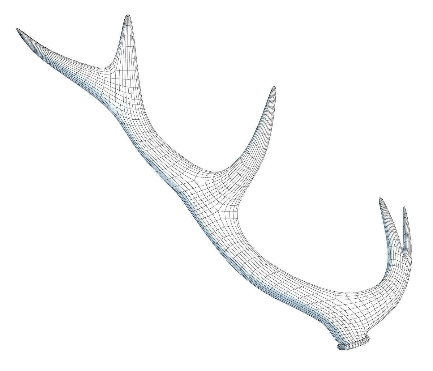 Deer Antler - 3D Model by 3D Horse