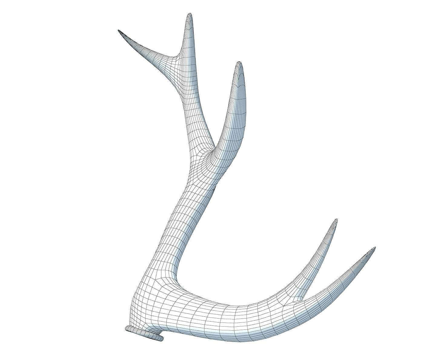 Deer Antler - 3D Model by 3D Horse