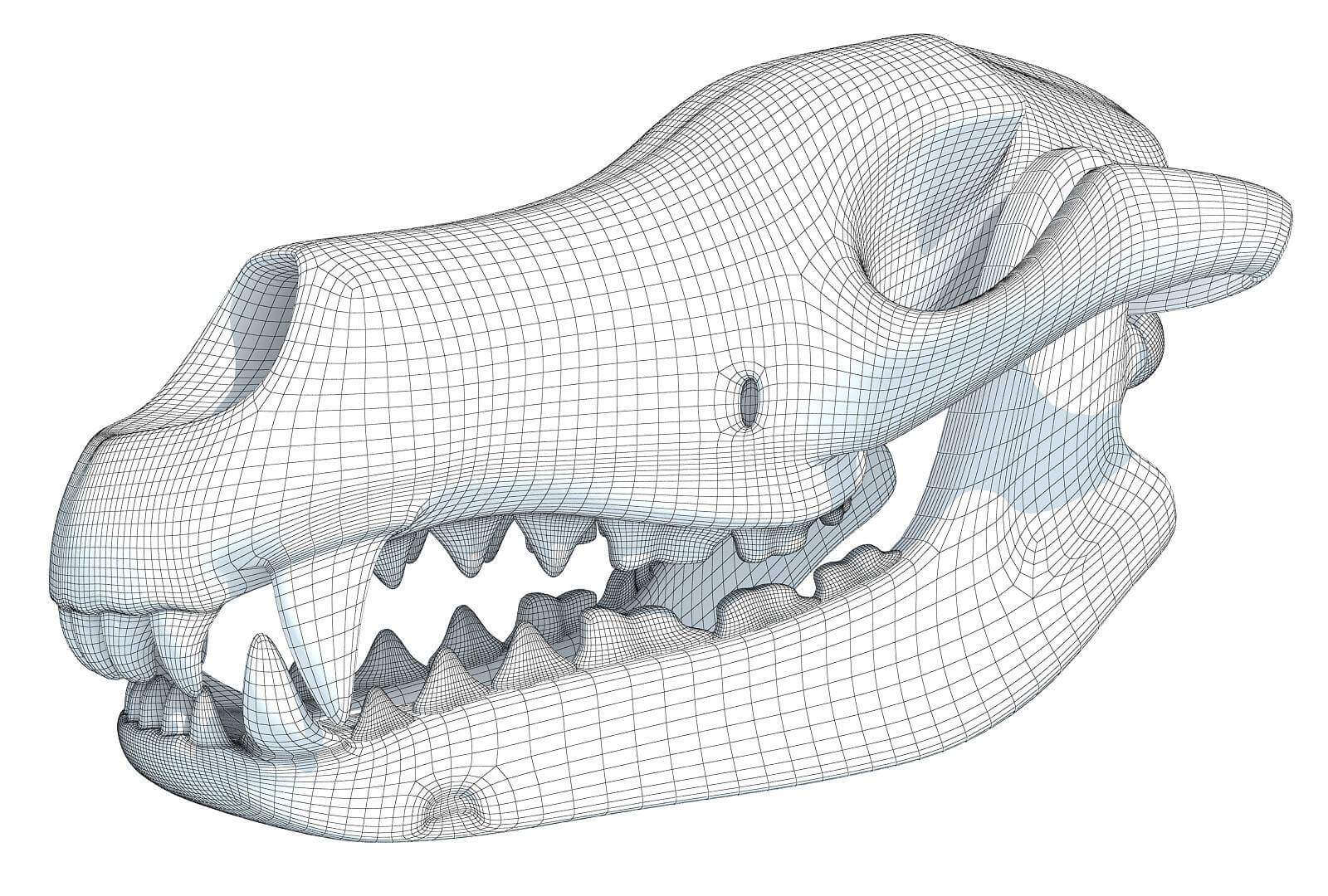 Dog Skull - 3D Print Model by 3D Horse