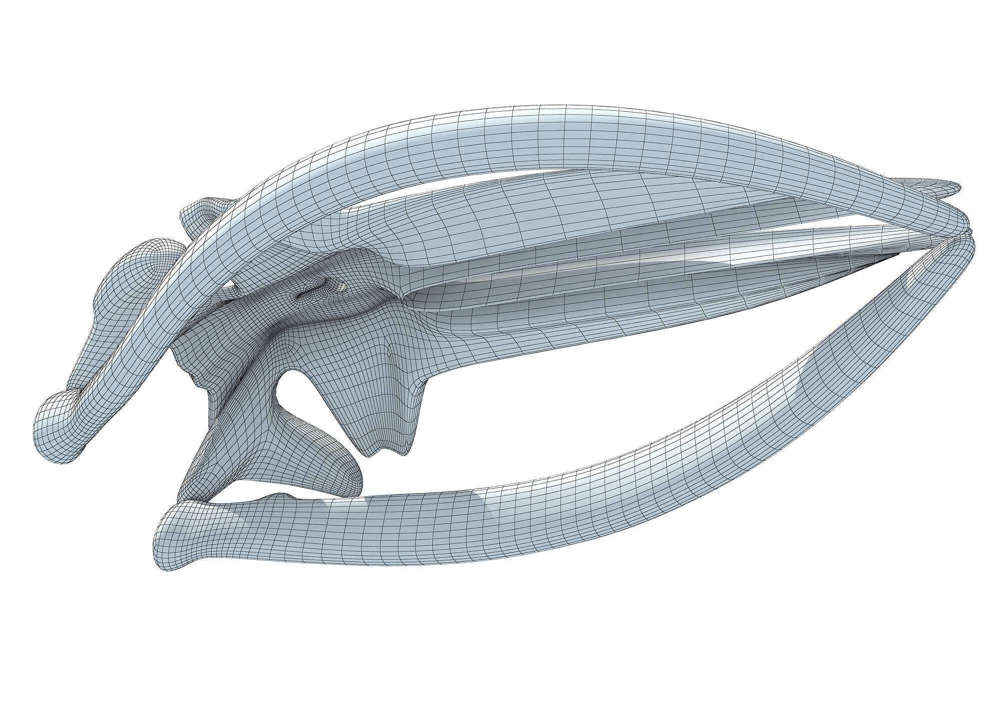 Fin Whale Skull - 3D Model by 3D Horse