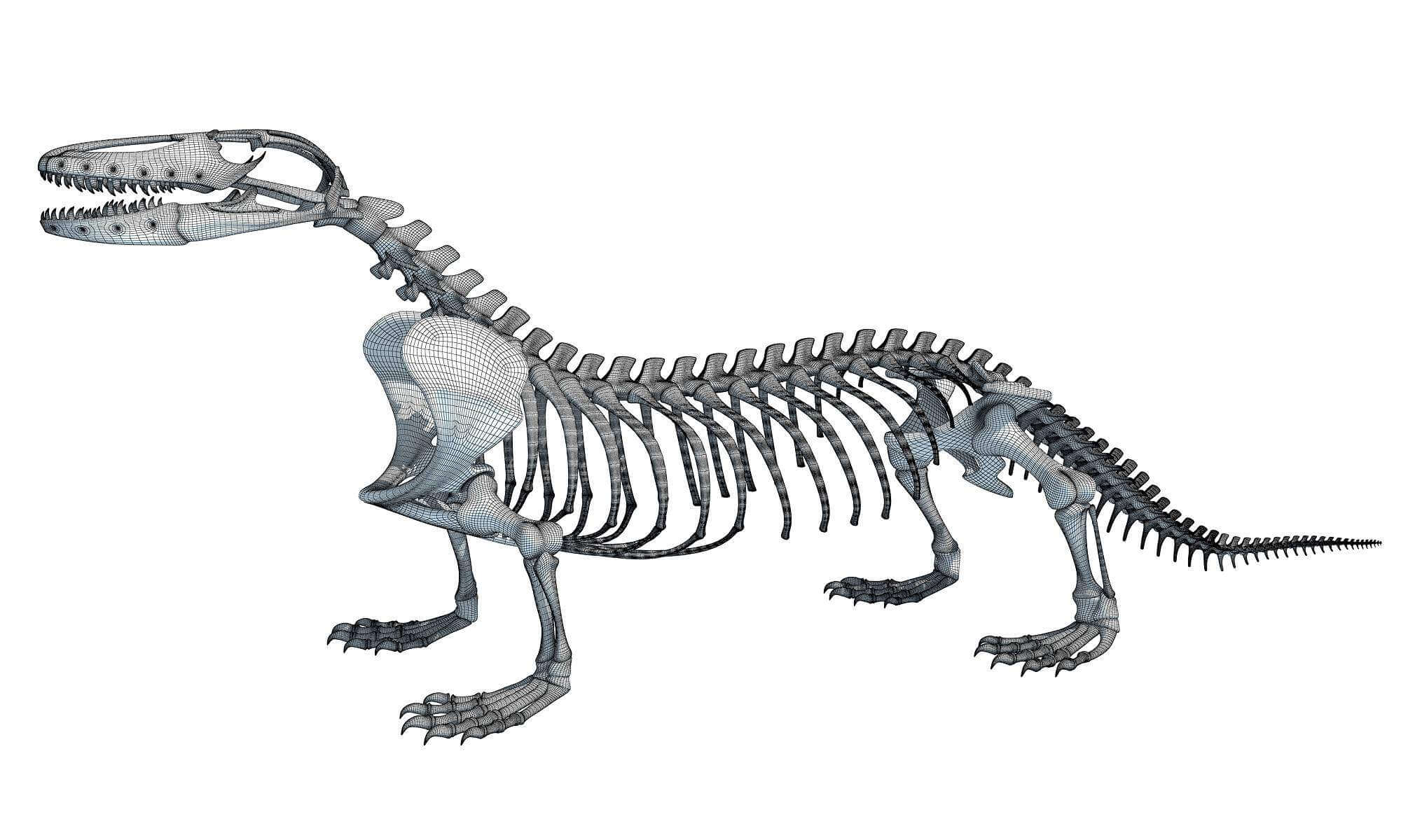 Komodo Dragon Skeleton - 3D Model by 3D Horse