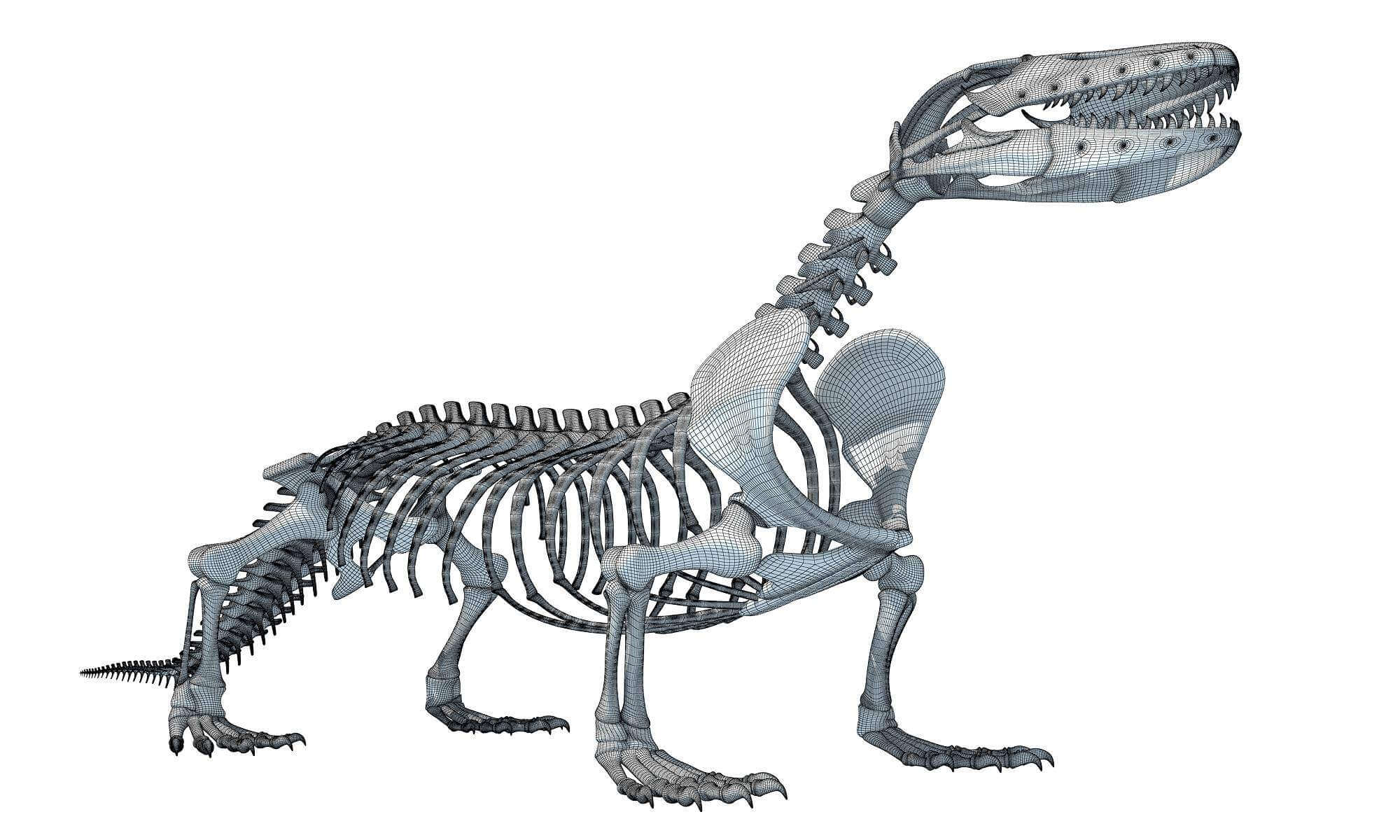Komodo Dragon Skeleton - 3D Model by 3D Horse