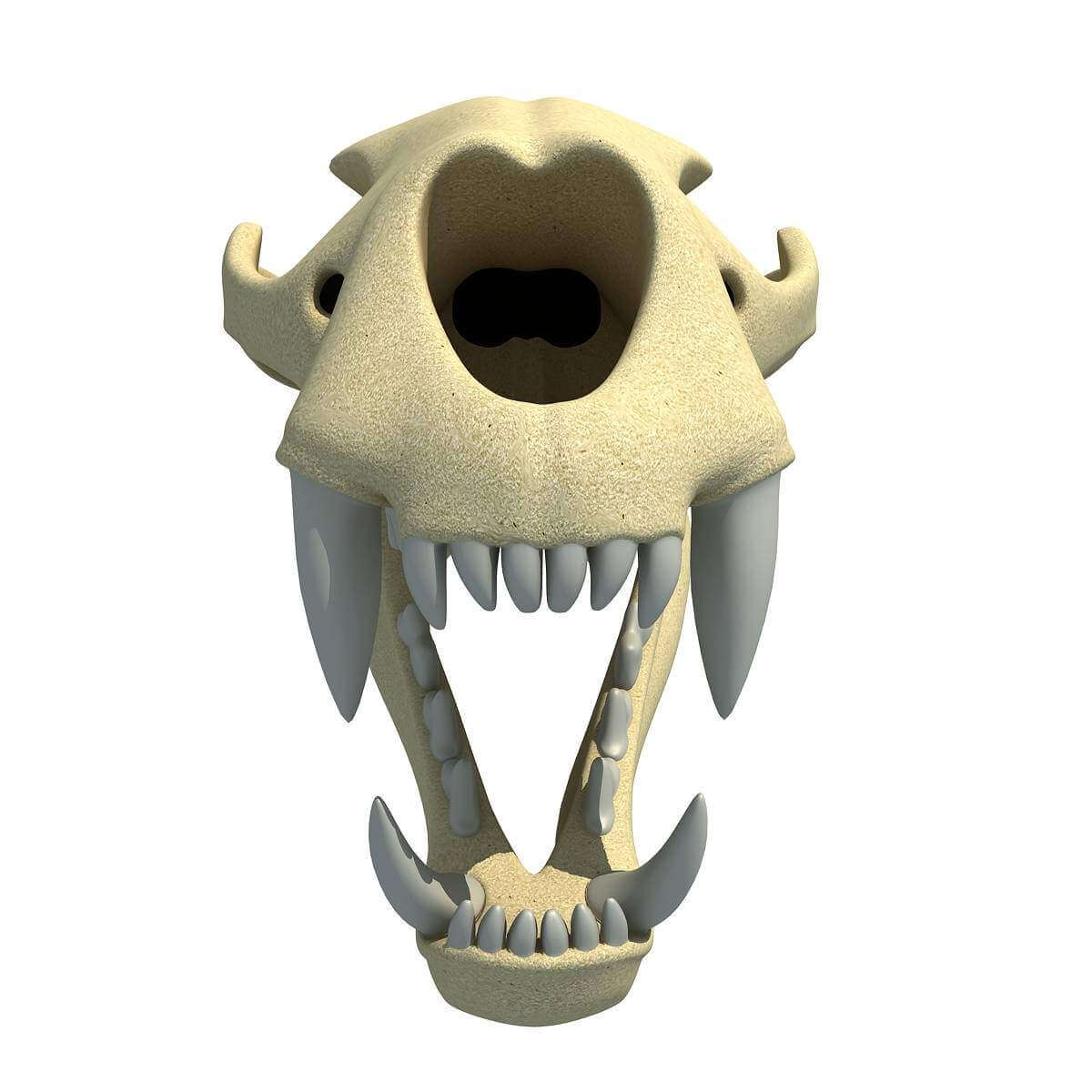 Lion Skull - 3D Model by 3D Horse