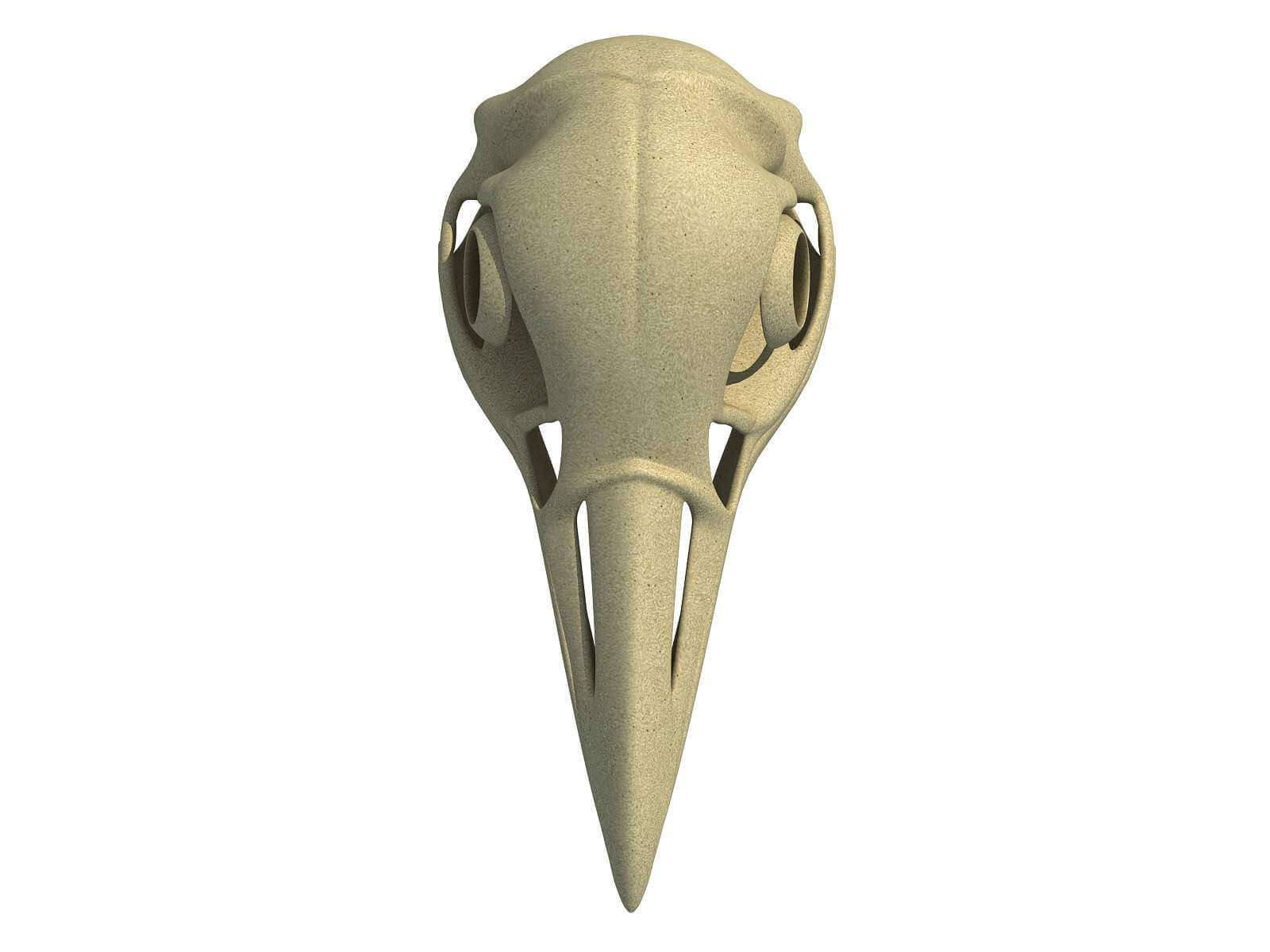 Penguin Skull - 3D Model by 3D Horse