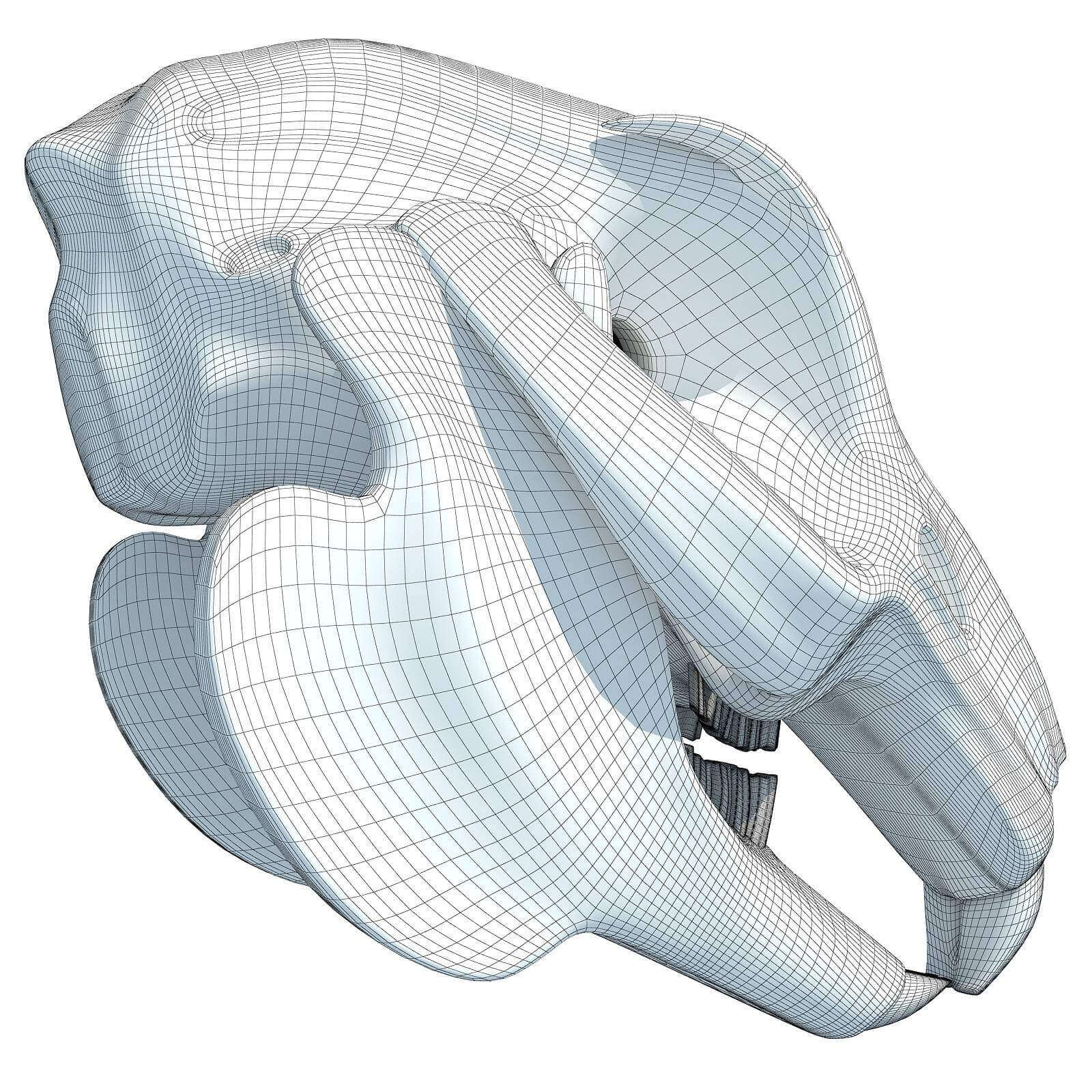 Rabbit Skull - 3D Model by 3D Horse