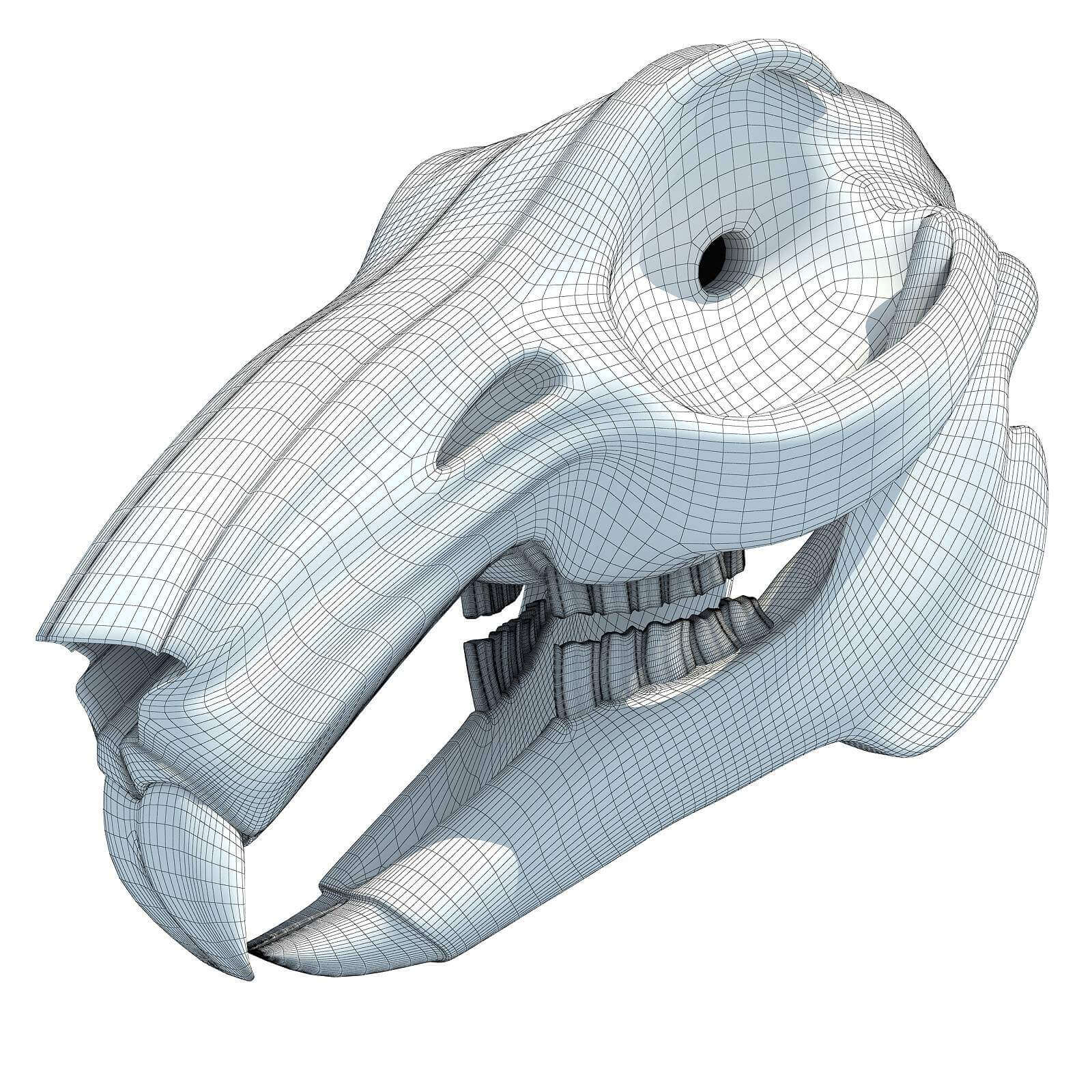 Rabbit Skull - 3D Model by 3D Horse