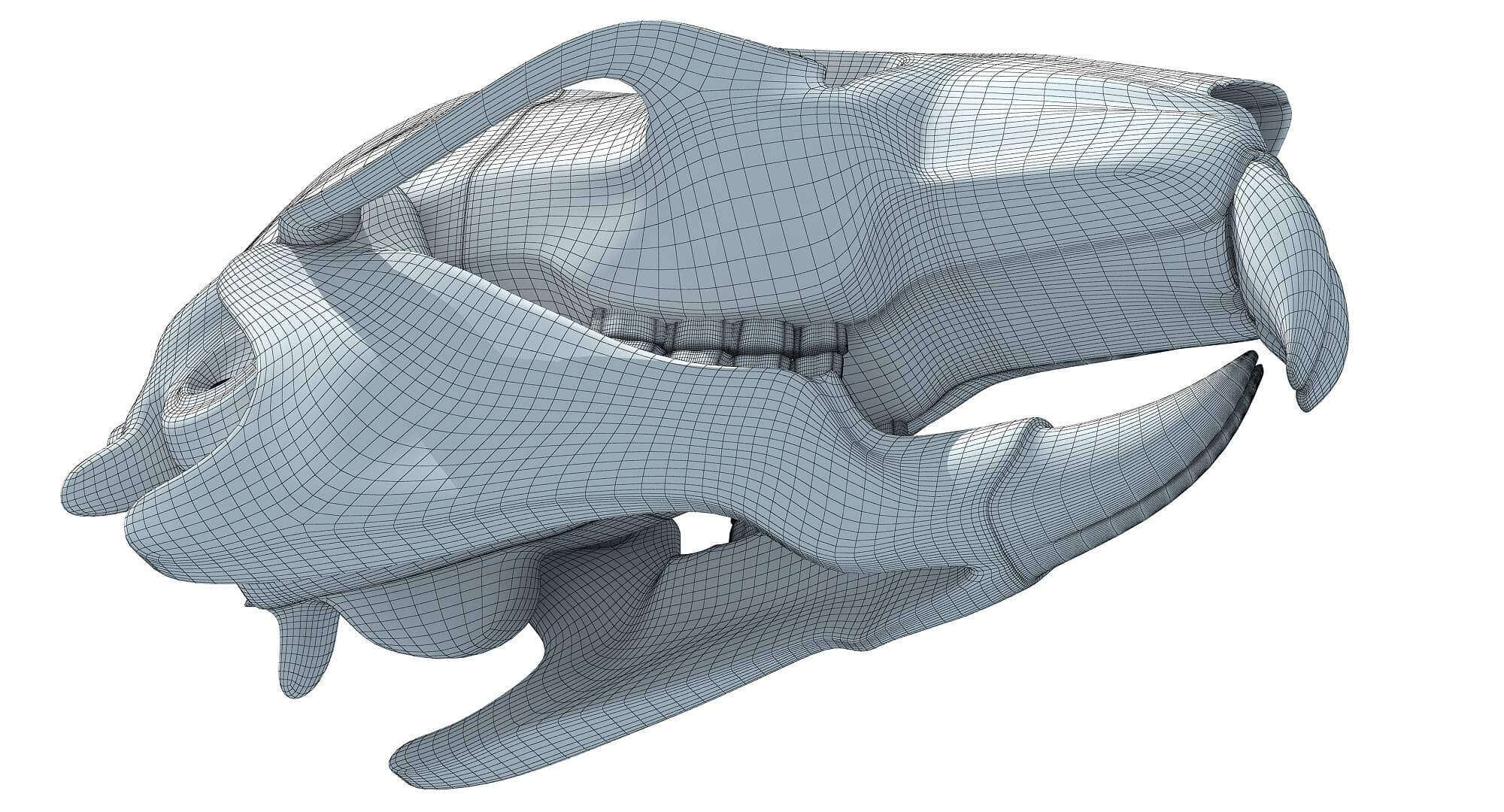 Rat Skull - 3D Model by 3D Horse