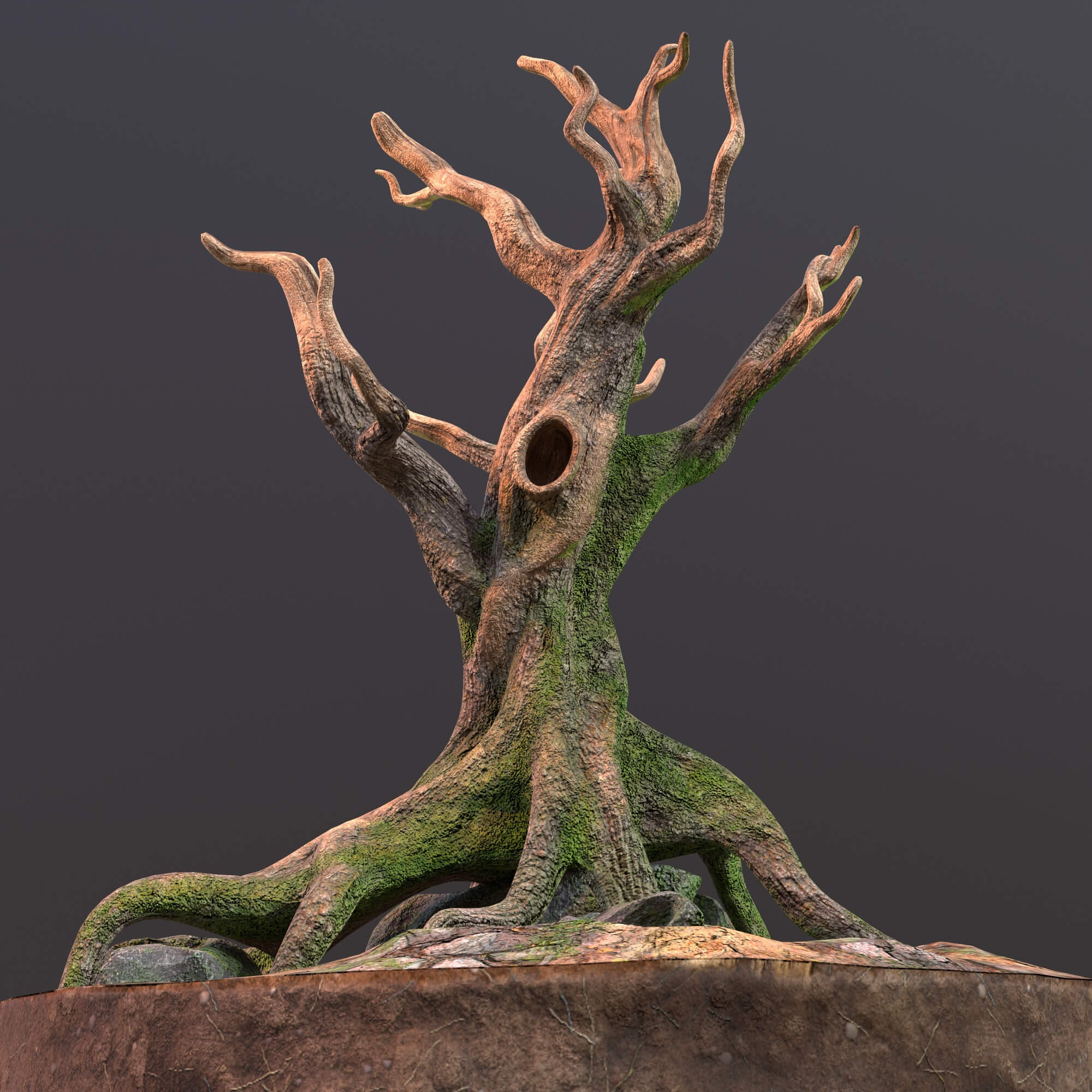Old Tree - 3D Model by 3D_Kod
