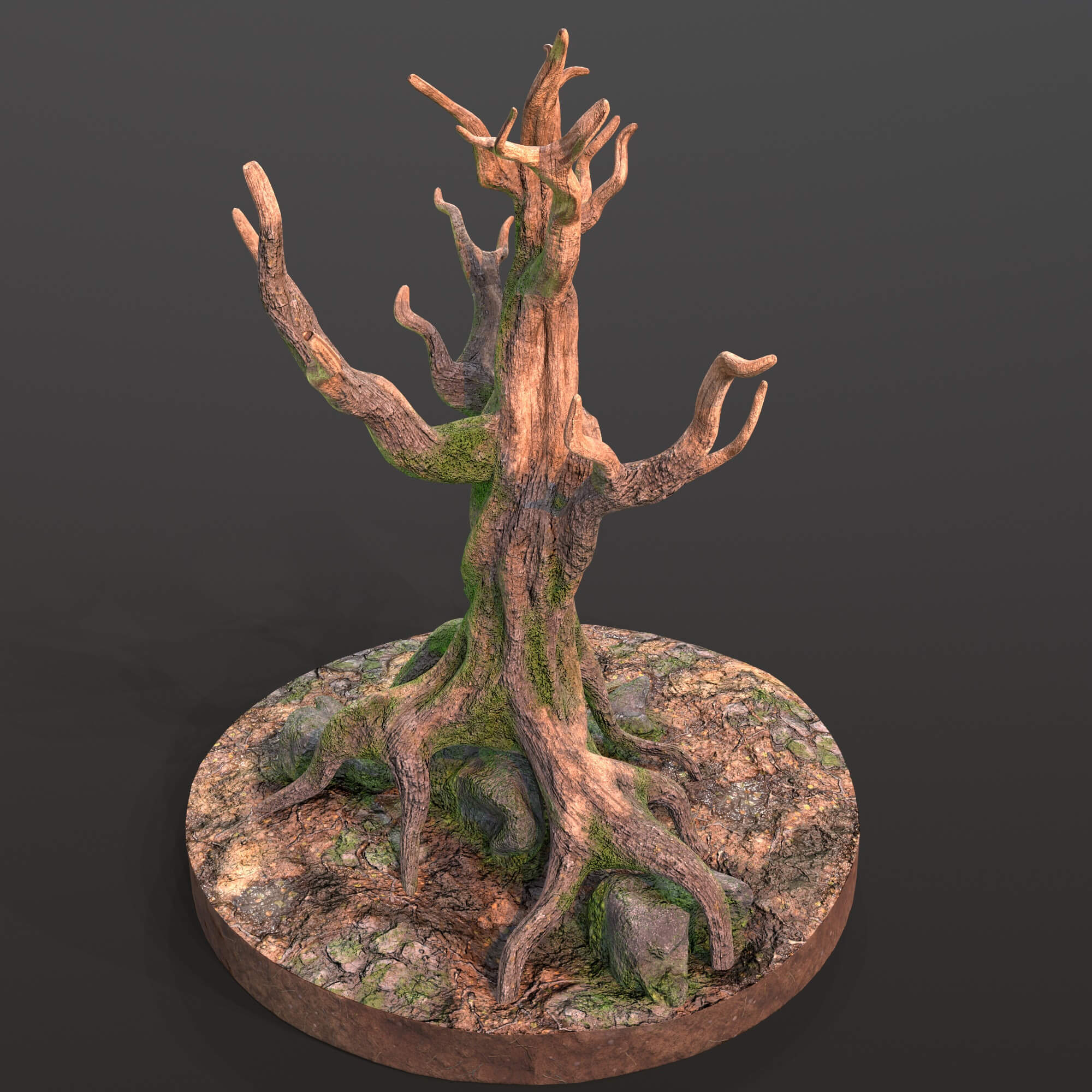 Old Tree - 3D Model by 3D_Kod