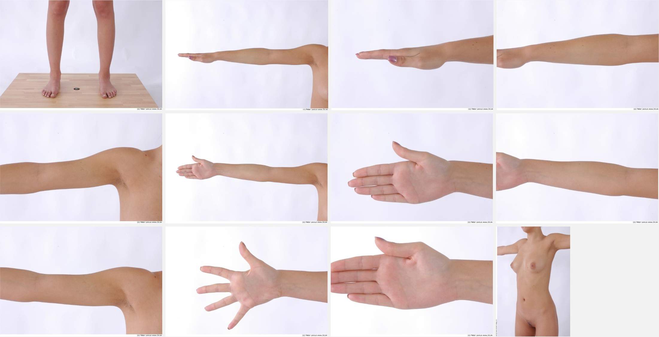 Dassy High Res Skin Texture Photo Set By 3d Sk