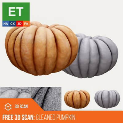 Cleaned Pumpkin 3D Scan by 3d-sk