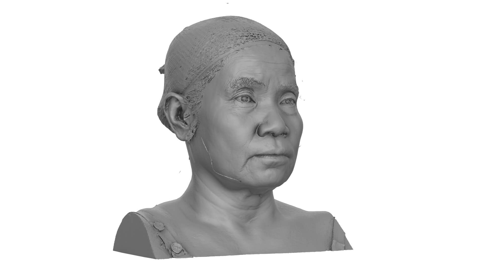 Raw Head Scan Kaga Sumi - 3D Model by 3d-sk
