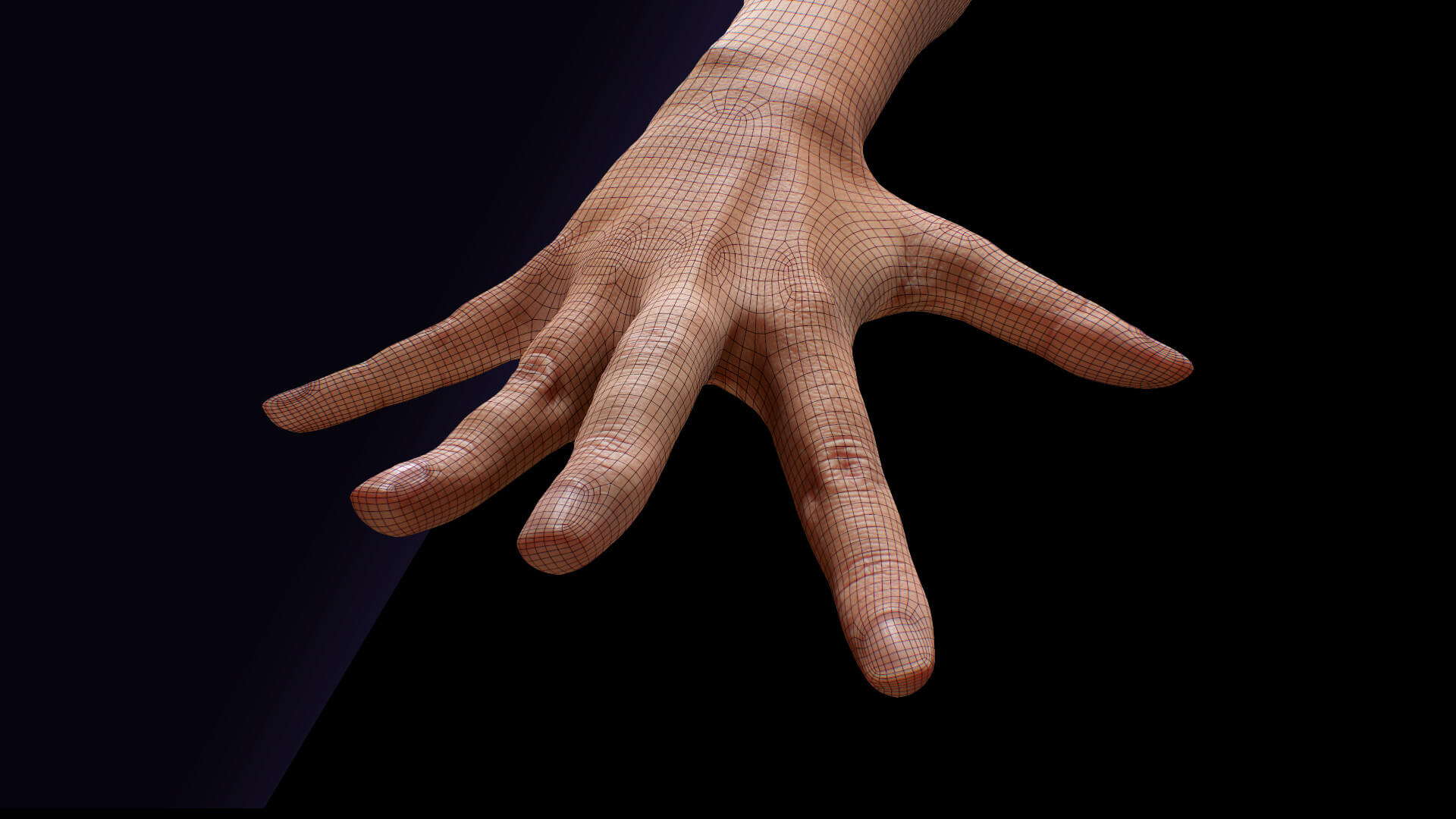 Retopologized Hand | Alexia Madrid - 3D Model by 3d-sk