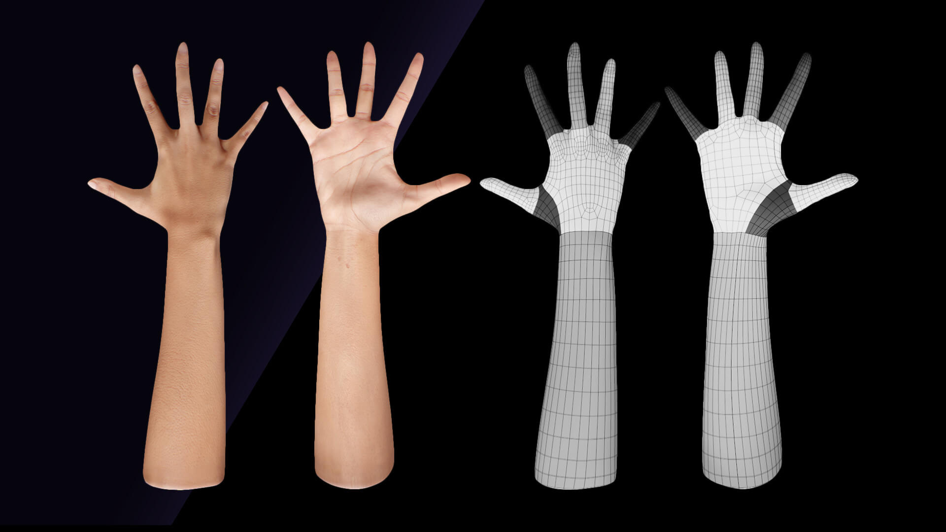 Retopologized Hand | Alexia Madrid - 3D Model by 3d-sk