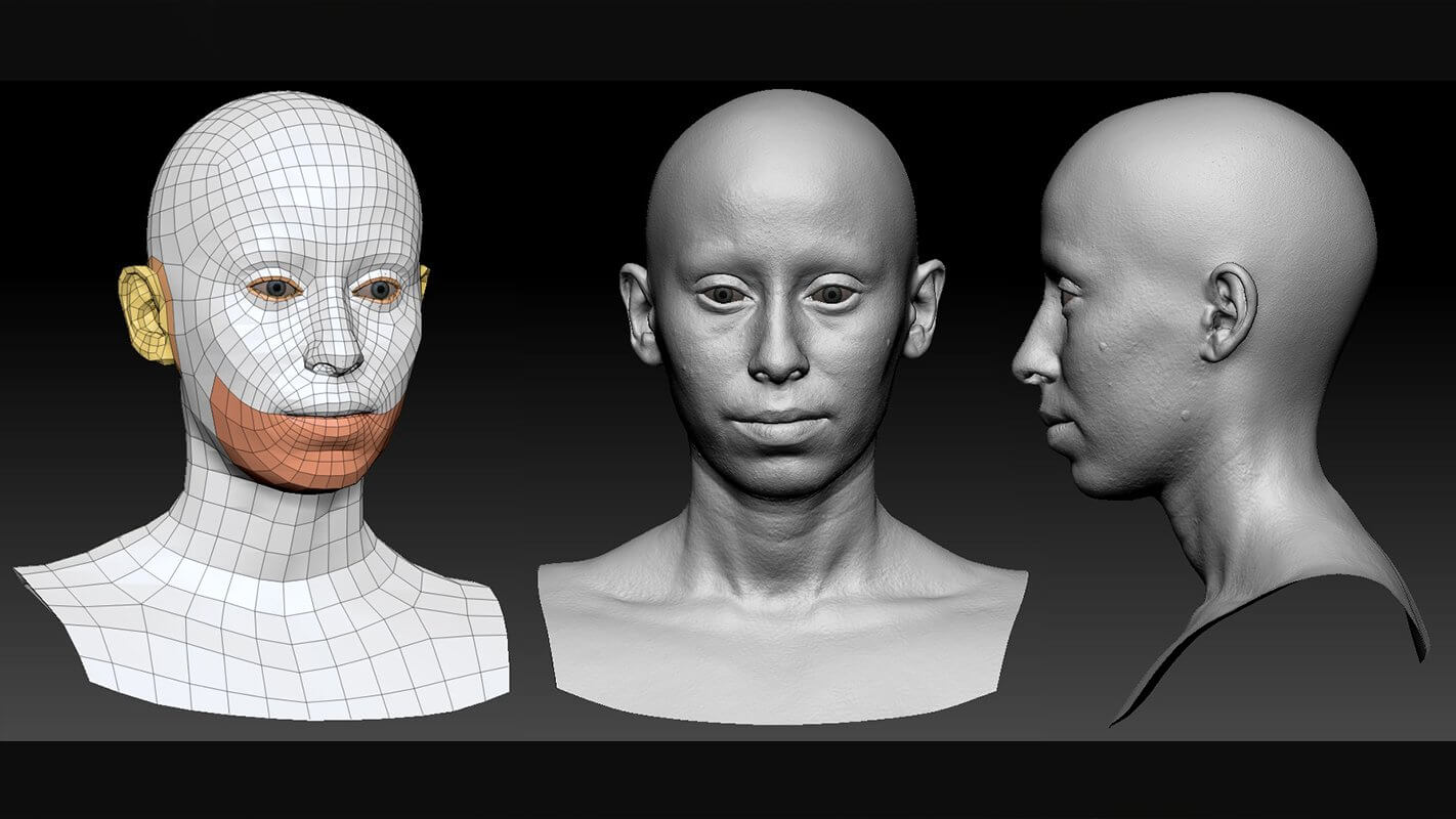 Retopologized 3D Head Scan of Mirka by 3d-sk