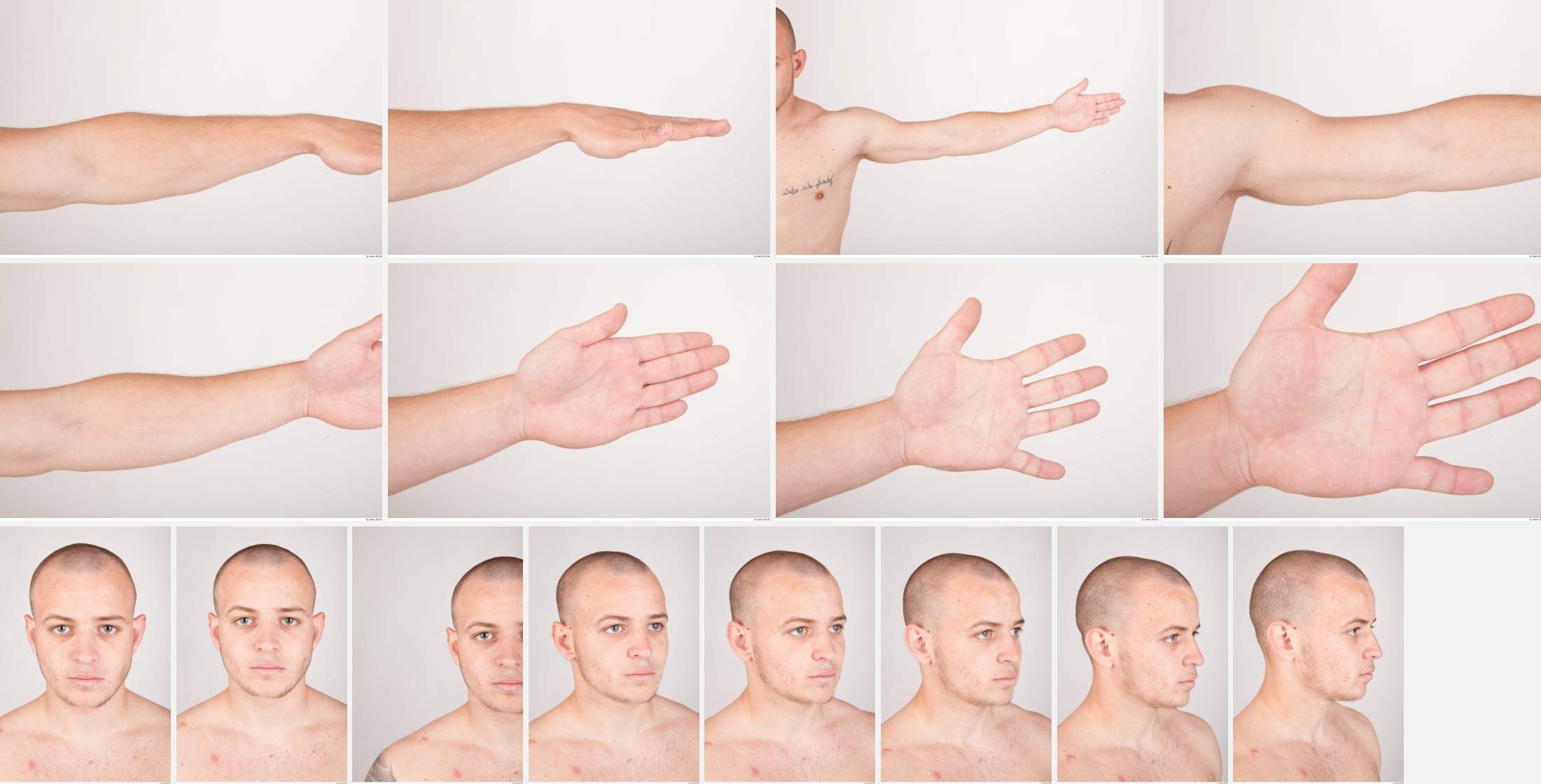 Rex High Res Skin Texture Photo Set by 3d-sk