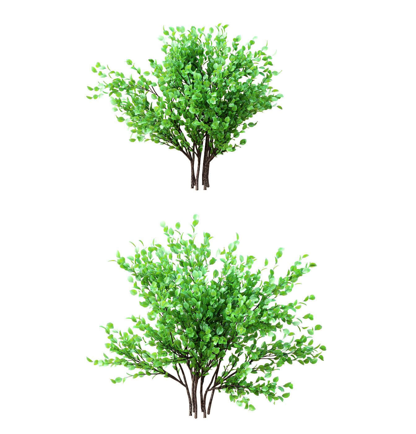 A Set of Bushes - 3D Model by 3d skay blue