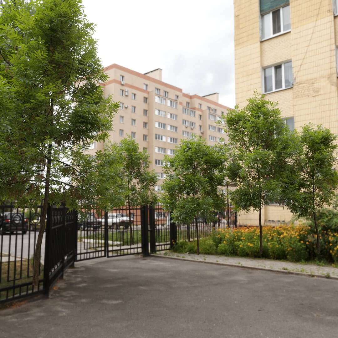 Ash Fraxinus 5 - 3D Model by 3d skay blue