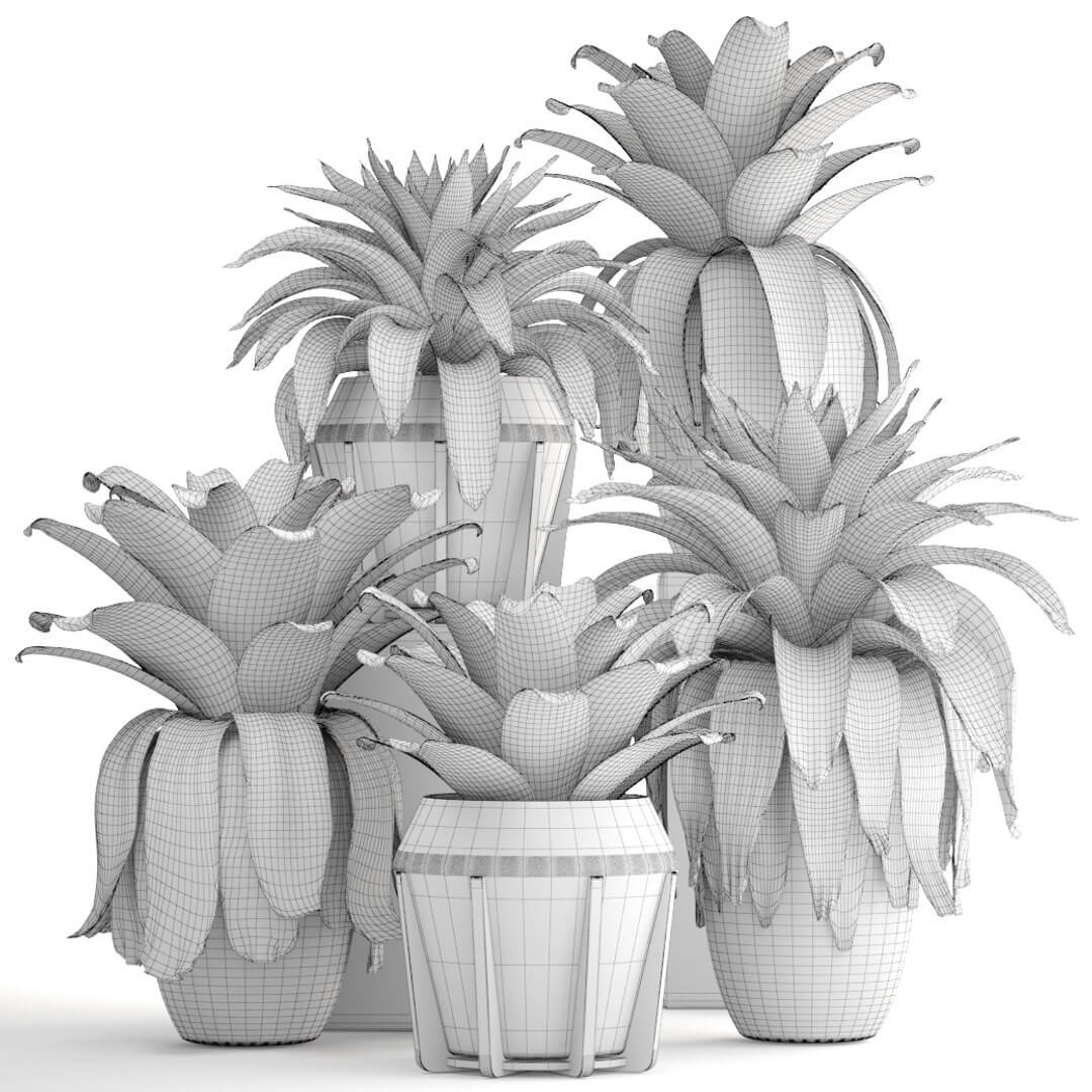 Collection of Plants 13 - 3D Model by 3d skay blue