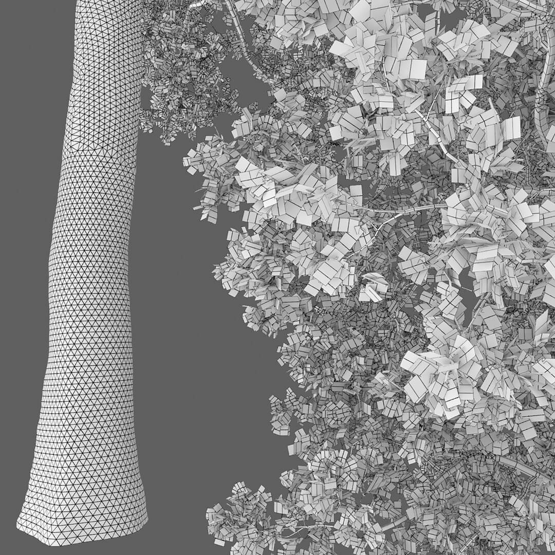 Oak Tree 423 - 3D Model by 3d skay blue