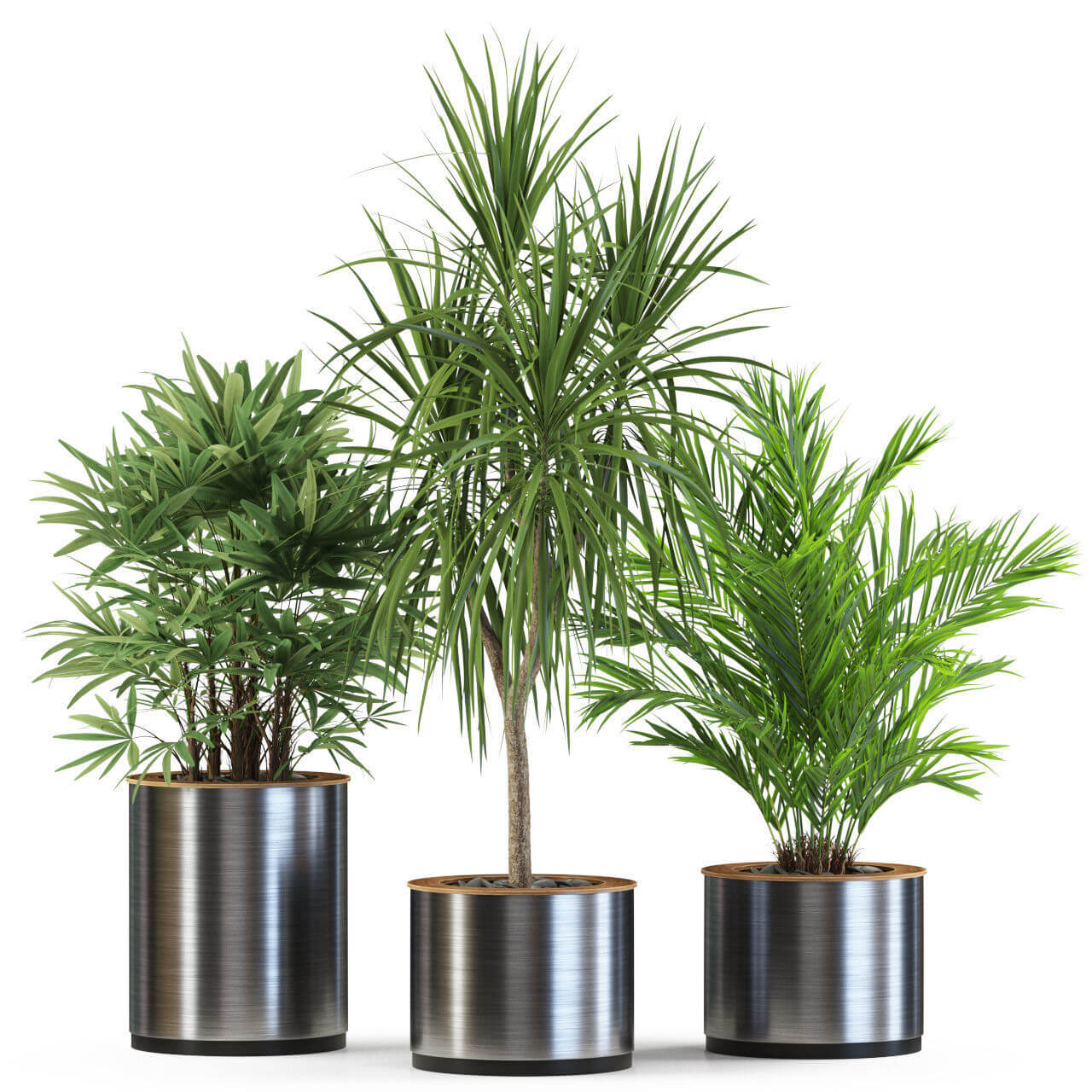 Plants Collection11 - 3D Model by 3d skay blue