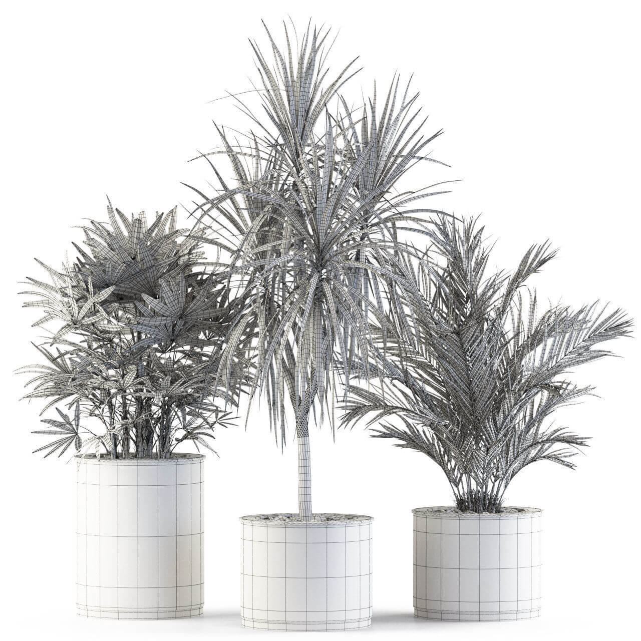 Plants Collection11 - 3D Model by 3d skay blue