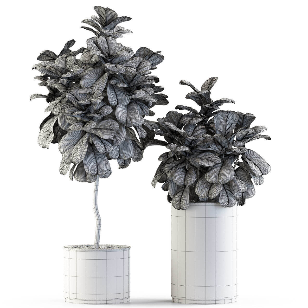 Plants Collection11 - 3D Model by 3d skay blue