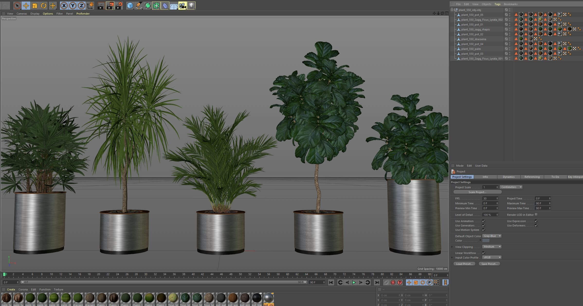 Plants Collection11 - 3D Model by 3d skay blue