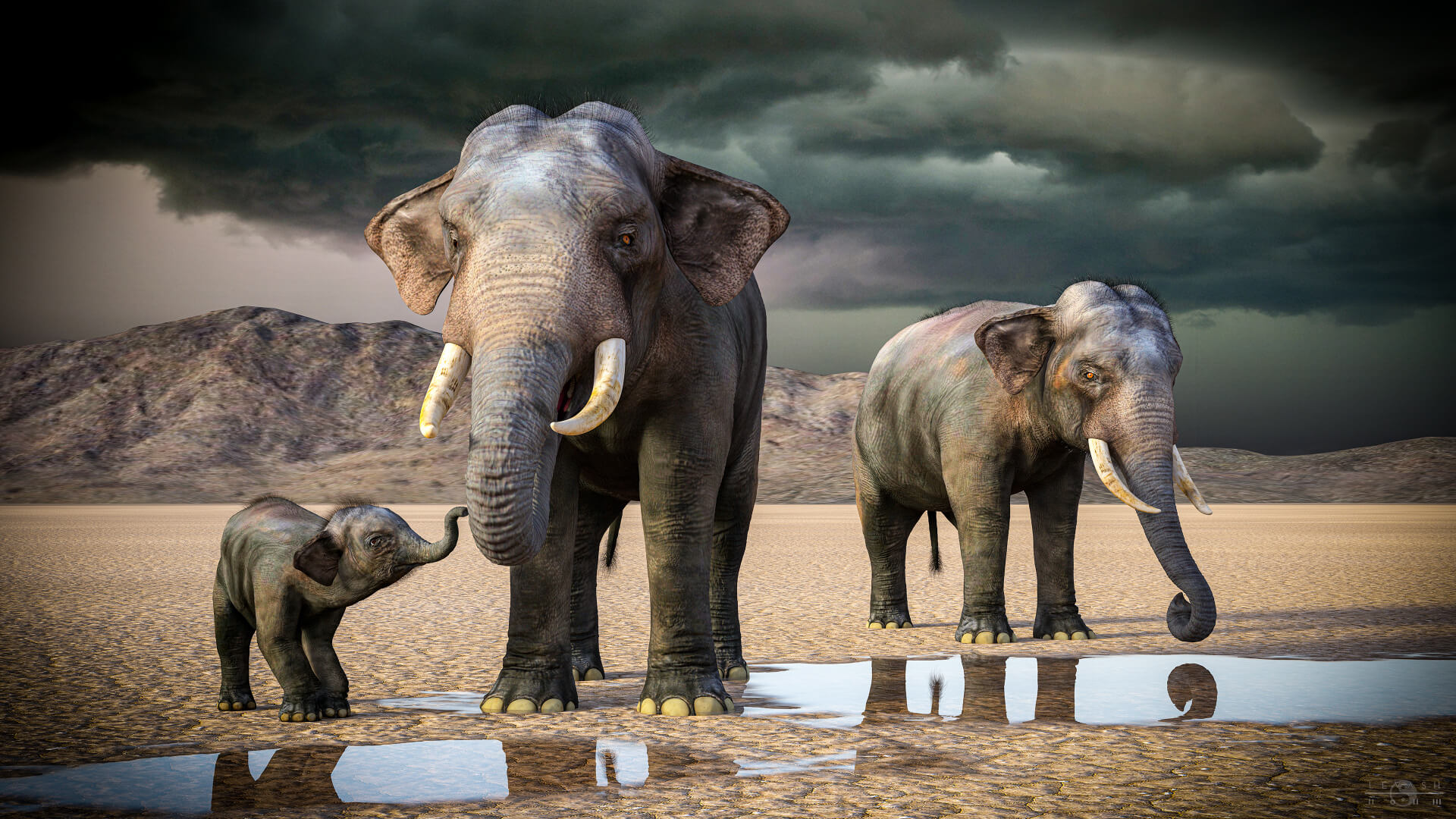 Some Can Still Remember by 3D4U2C | RenderHub Wallpapers