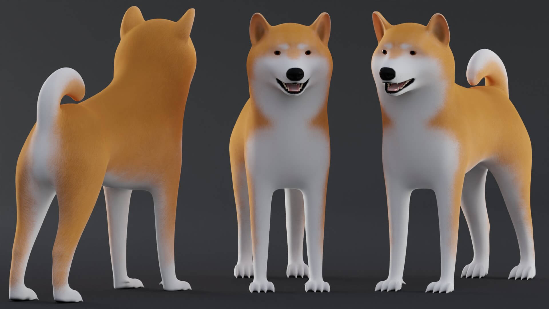 Shiba Inu Dog - 3D Model by 3dbowl