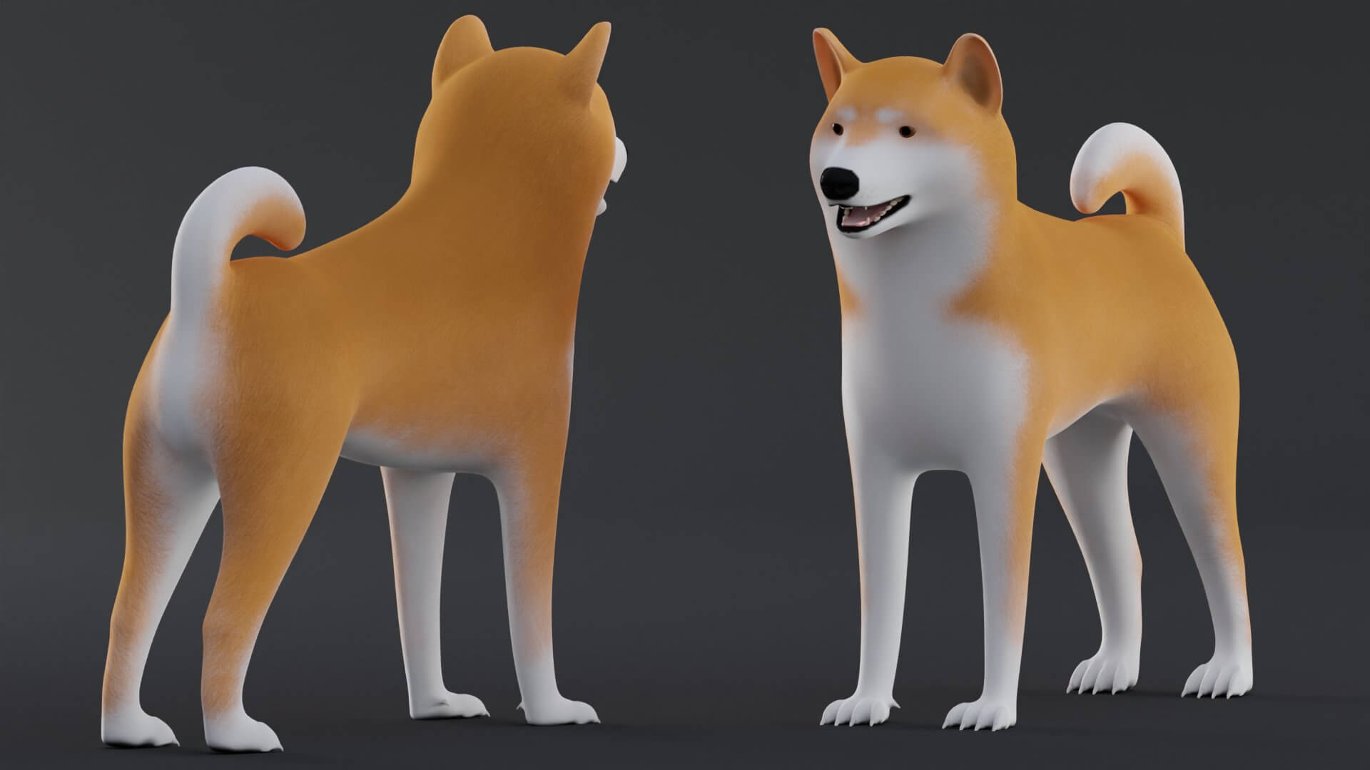 Shiba Inu Dog - 3D Model by 3dbowl