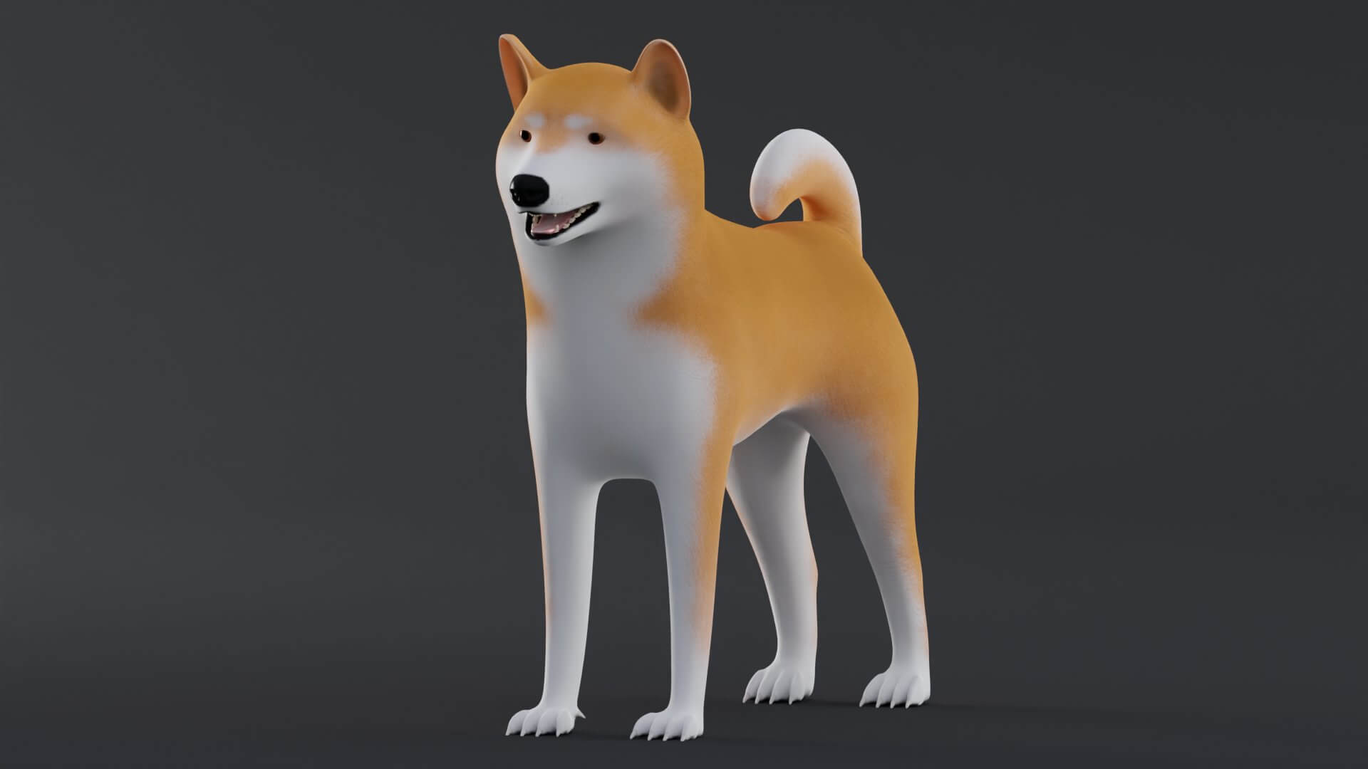 Gray Shiba Inu