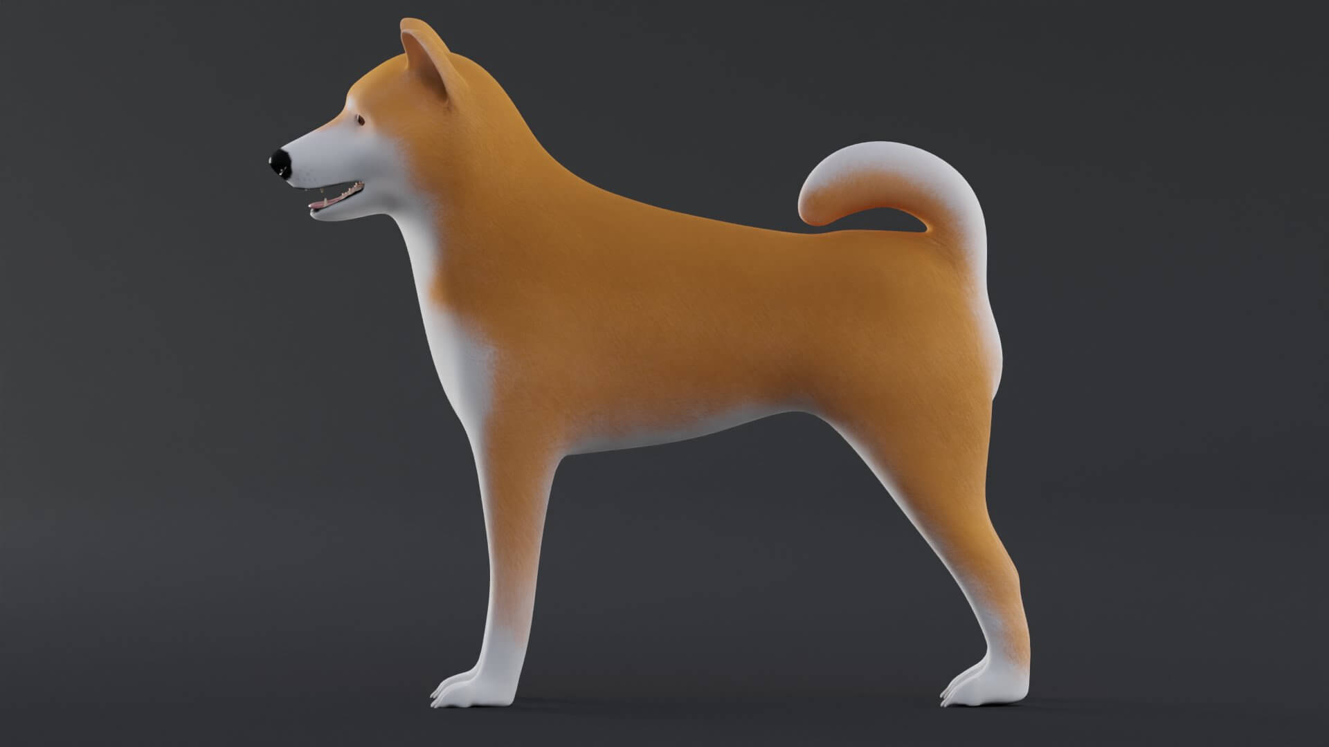 Shiba Inu Dog - 3D Model by 3dbowl