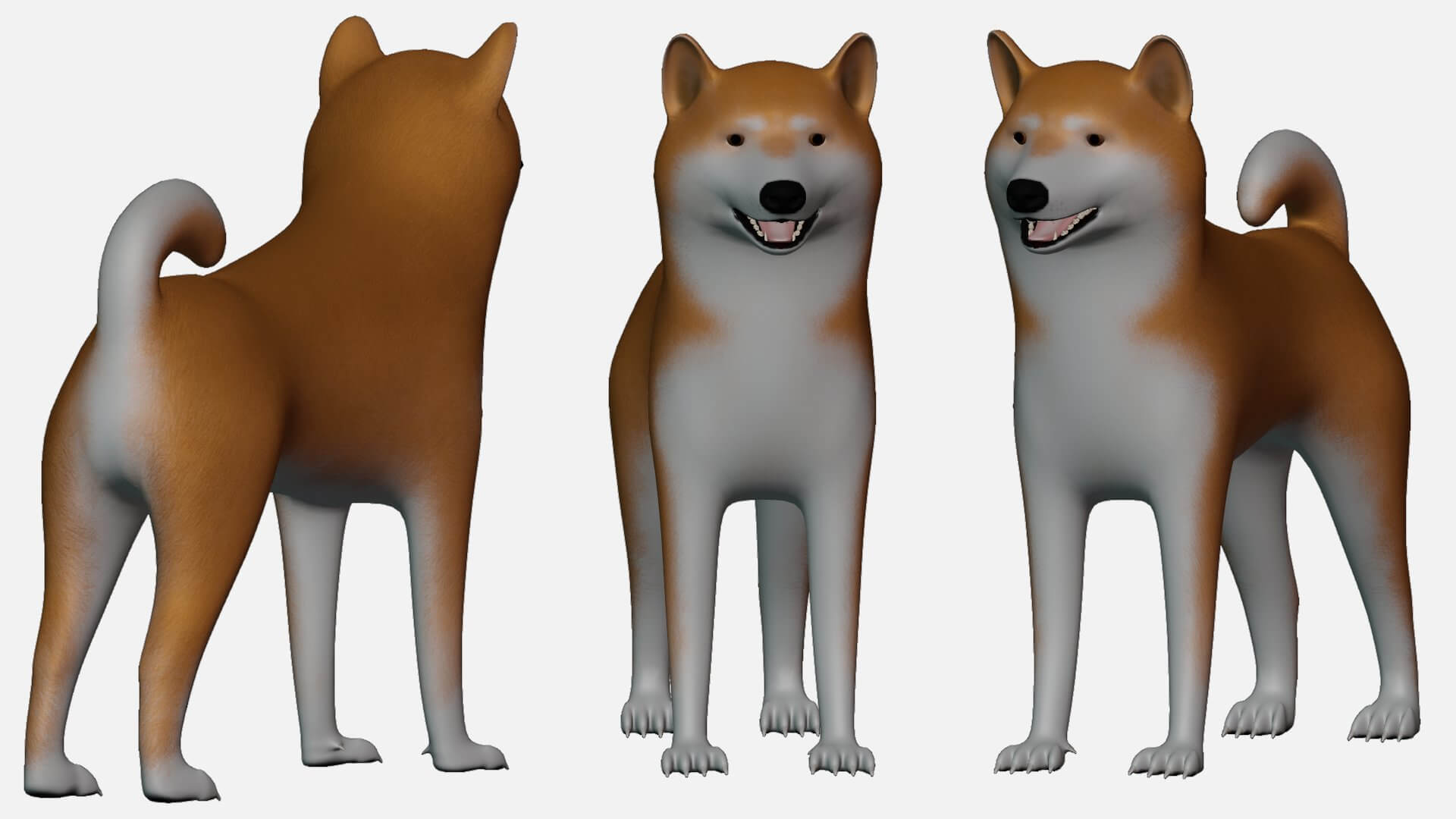 Shiba Inu Dog - 3D Model by 3dbowl